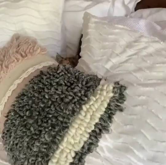 Murder floof : Defender of the pillows | Scrolller