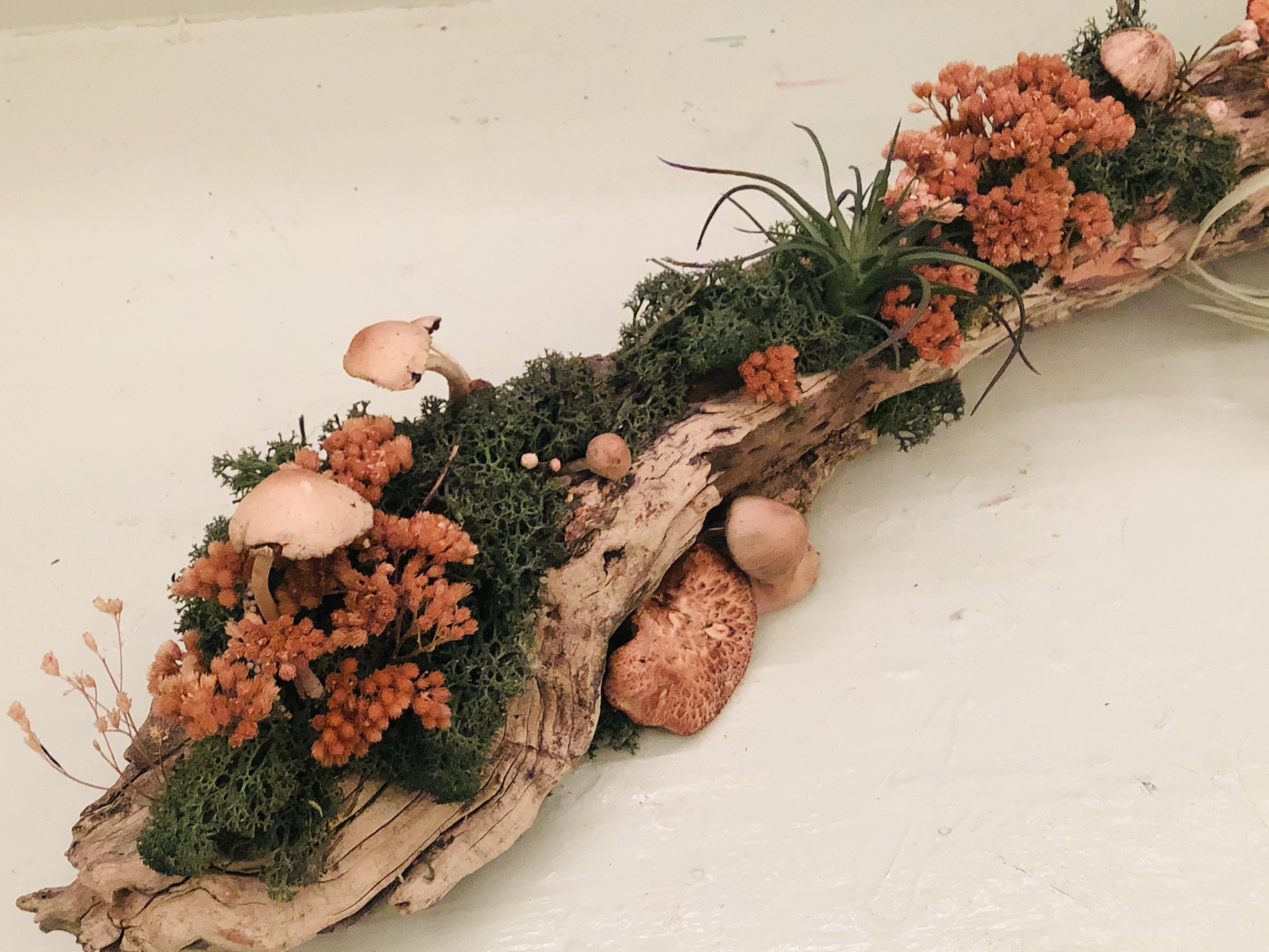 Discover more like MushroomPorn: Mushroom Log Creation. CA and Related Content | Scrolller