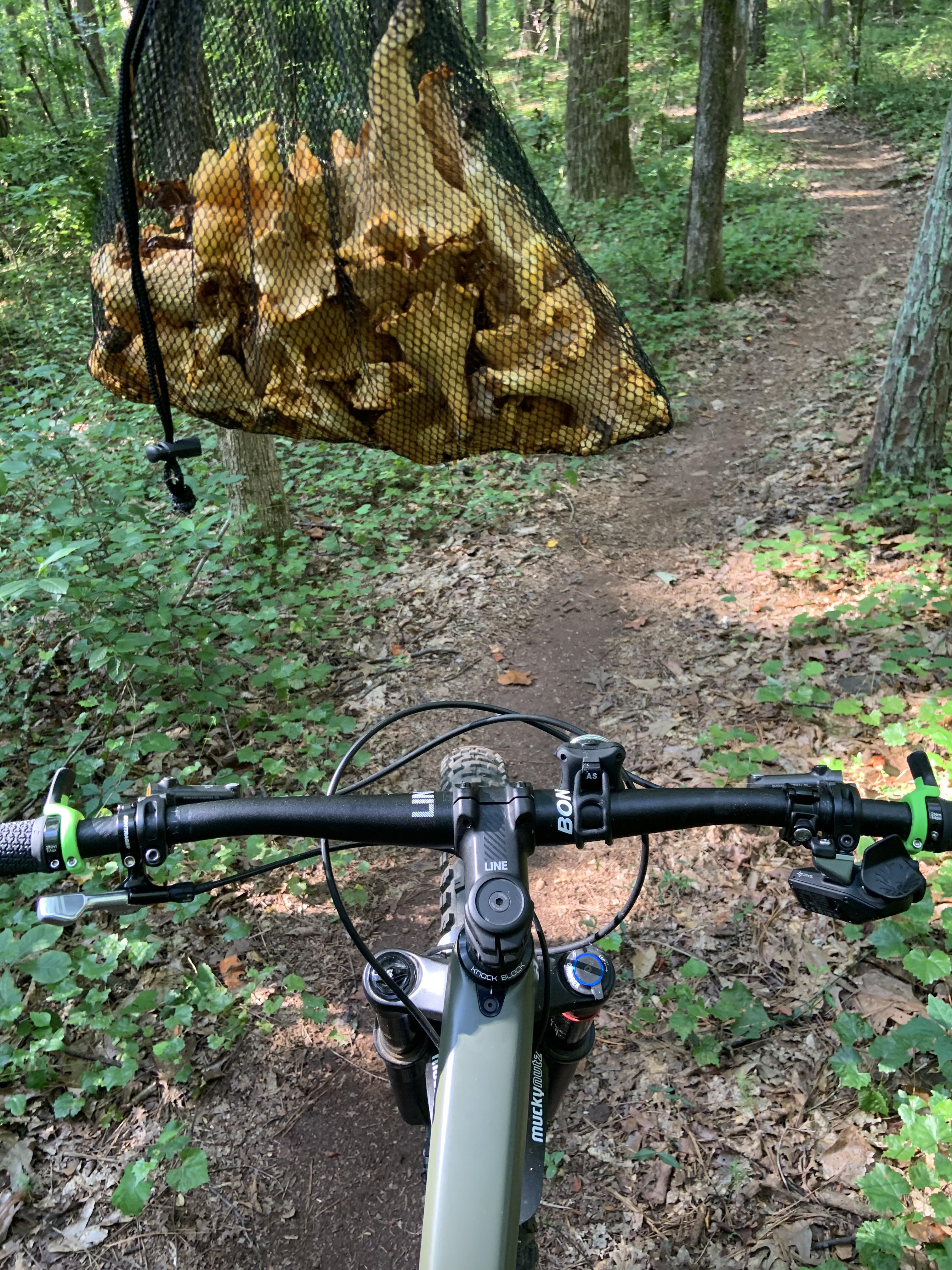 Mushrooms and mountain bikes | Scrolller