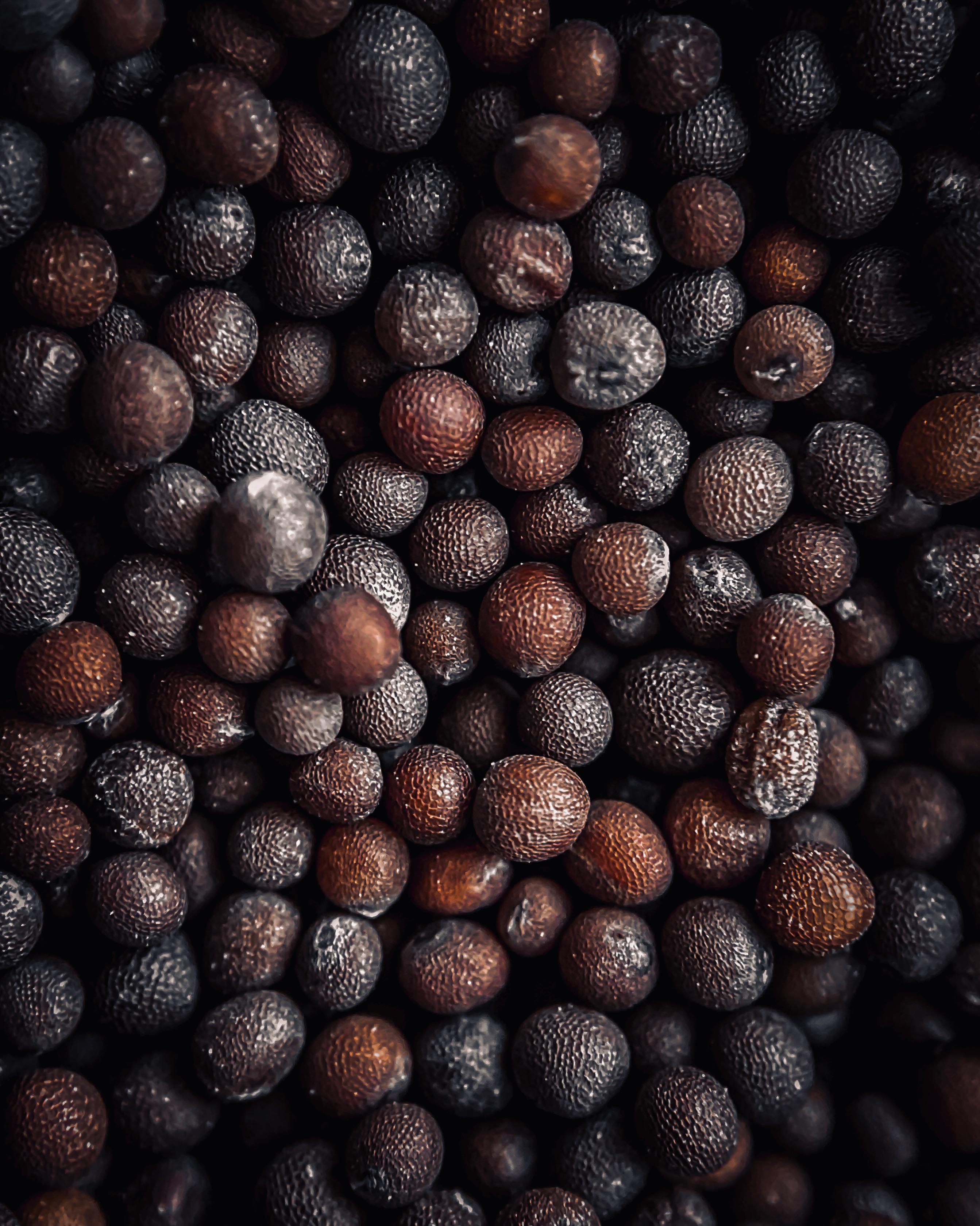 Macro Shot of Mustard Seeds | Scrolller