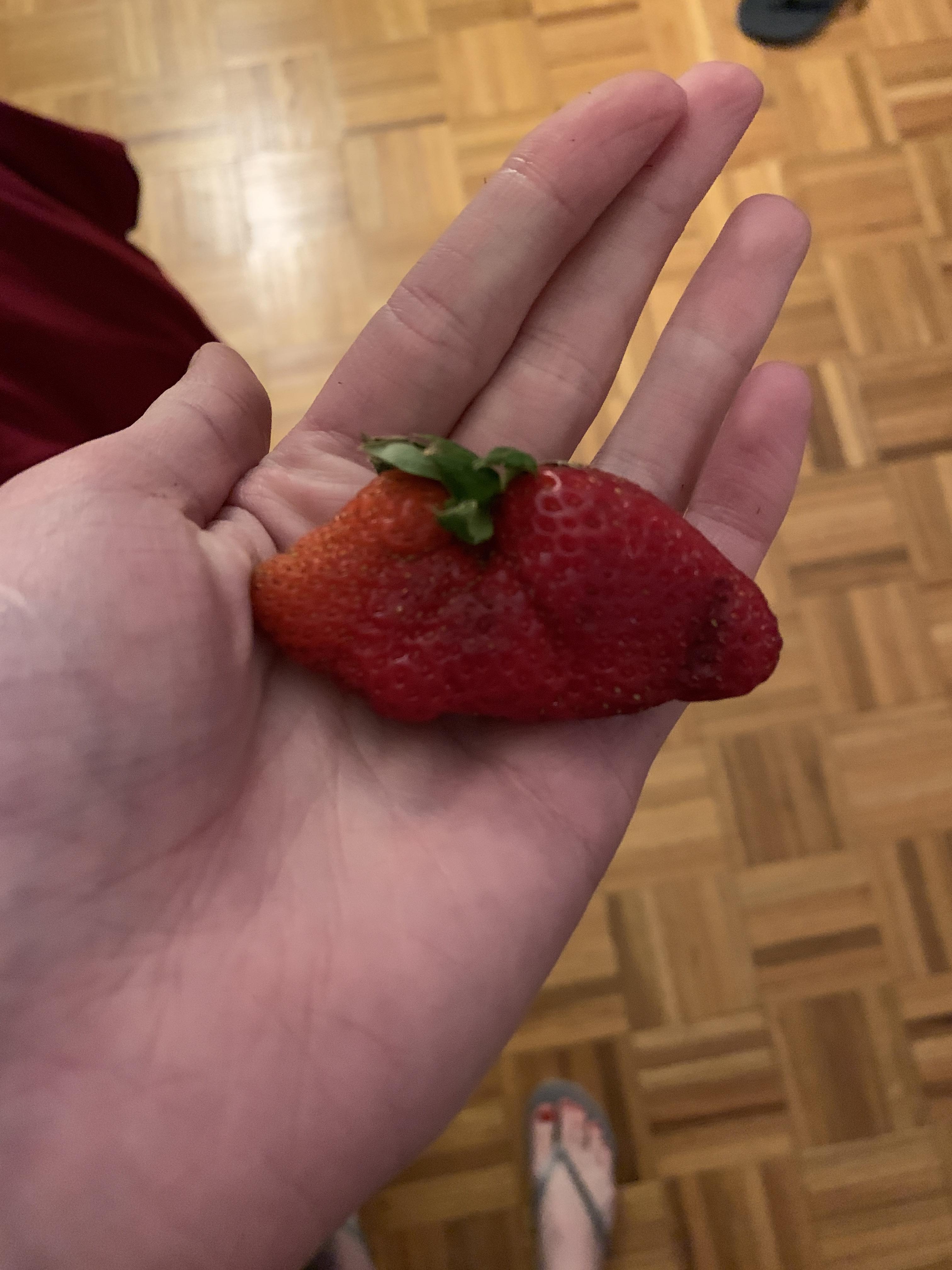 Mutant strawberry | Scrolller
