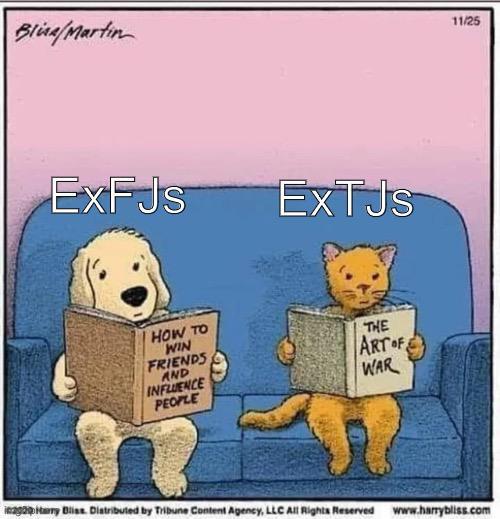 Muy interesante | Scrolller