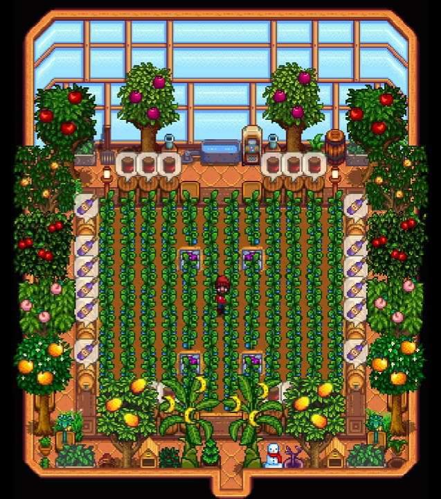 My 1.5 greenhouse! 😍🤗 | Scrolller