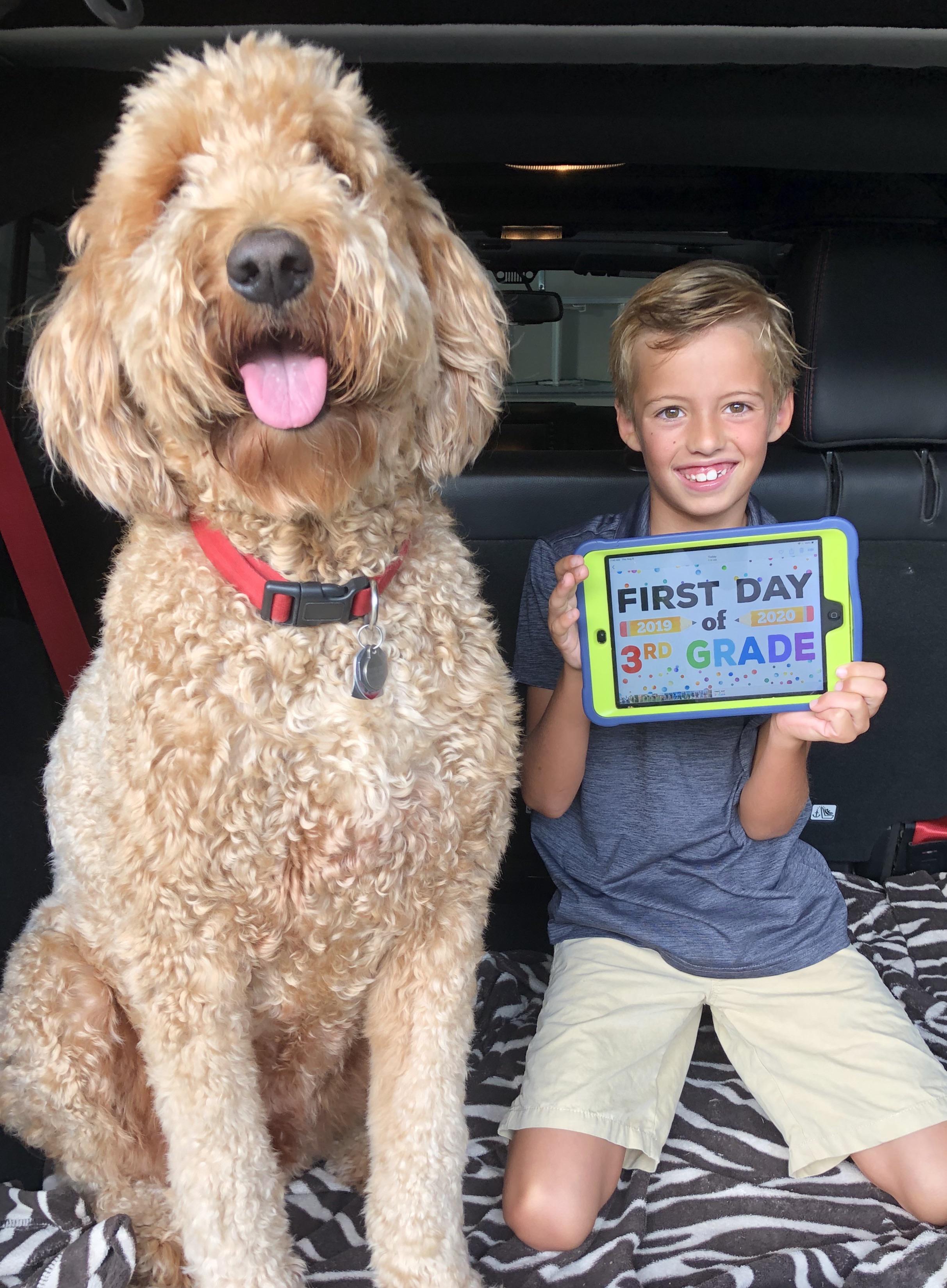 My 92 lb doodle. | Scrolller