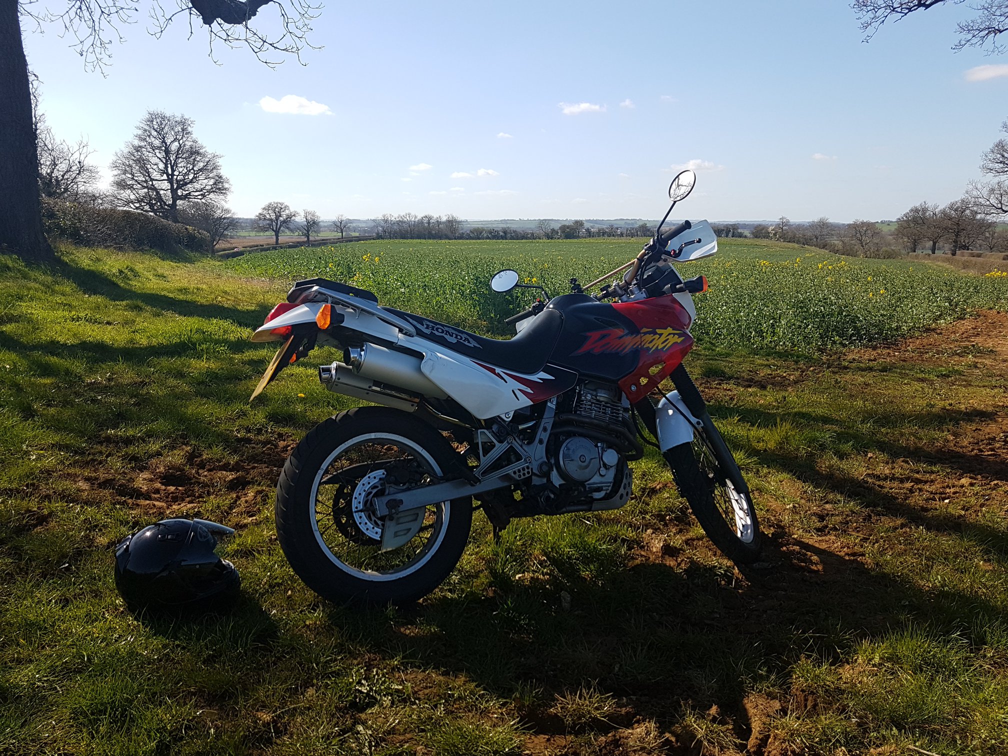 My '96 Honda NX650 T Dominator | Scrolller