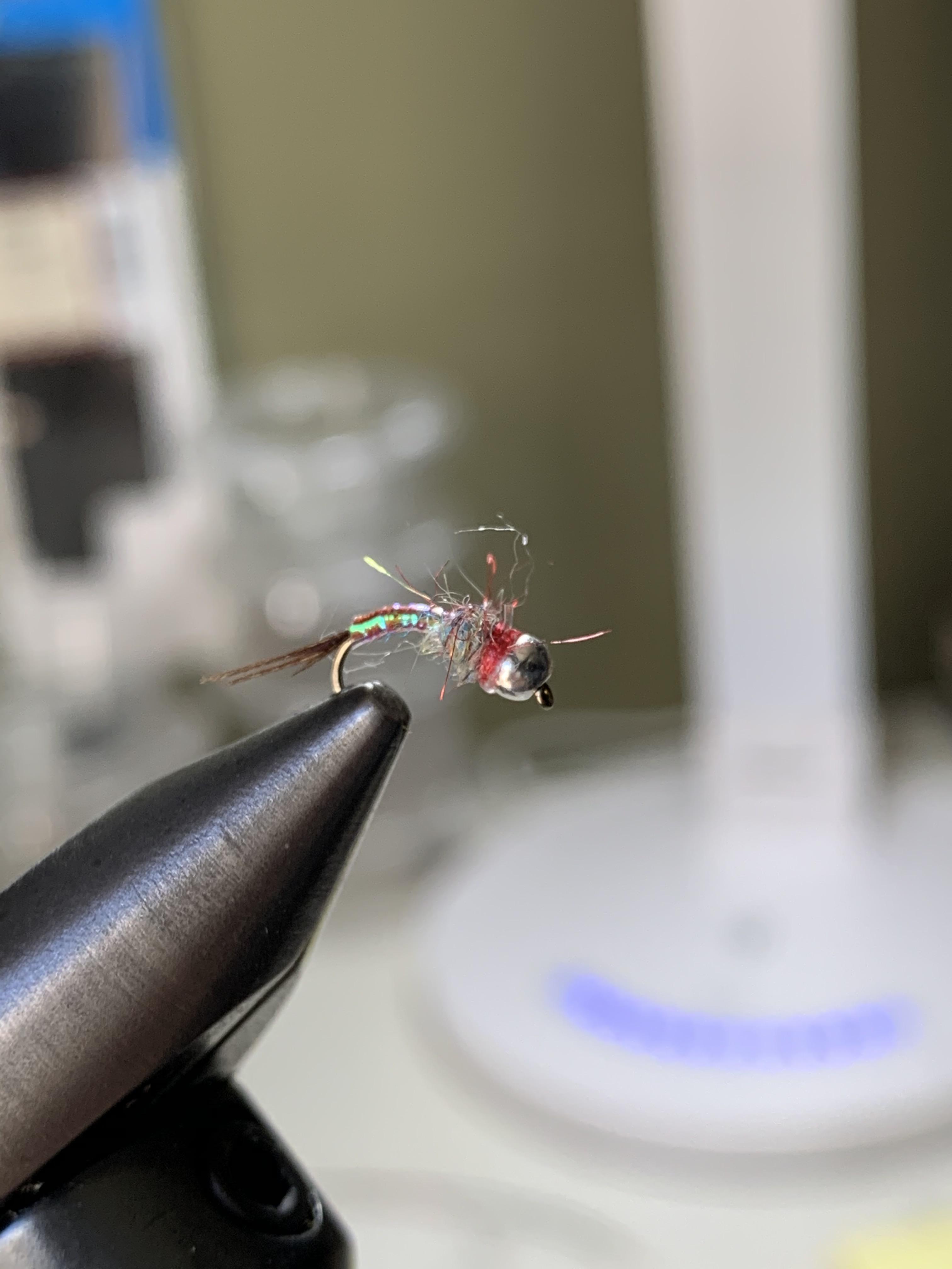 My attempt at a Rainbow Warrior | Scrolller