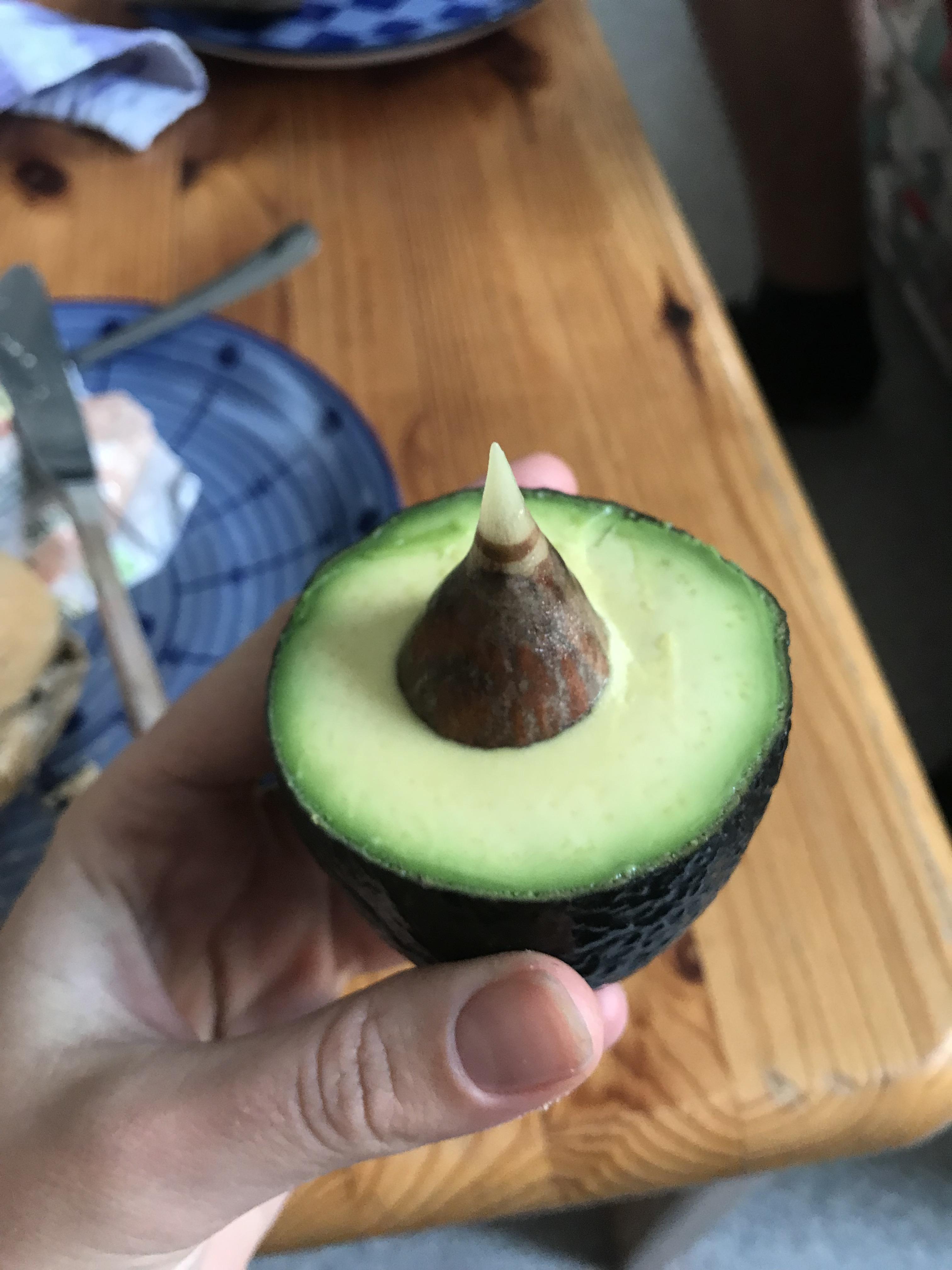 My avo was on point today.... #avo #avocado #breakfast | Scrolller