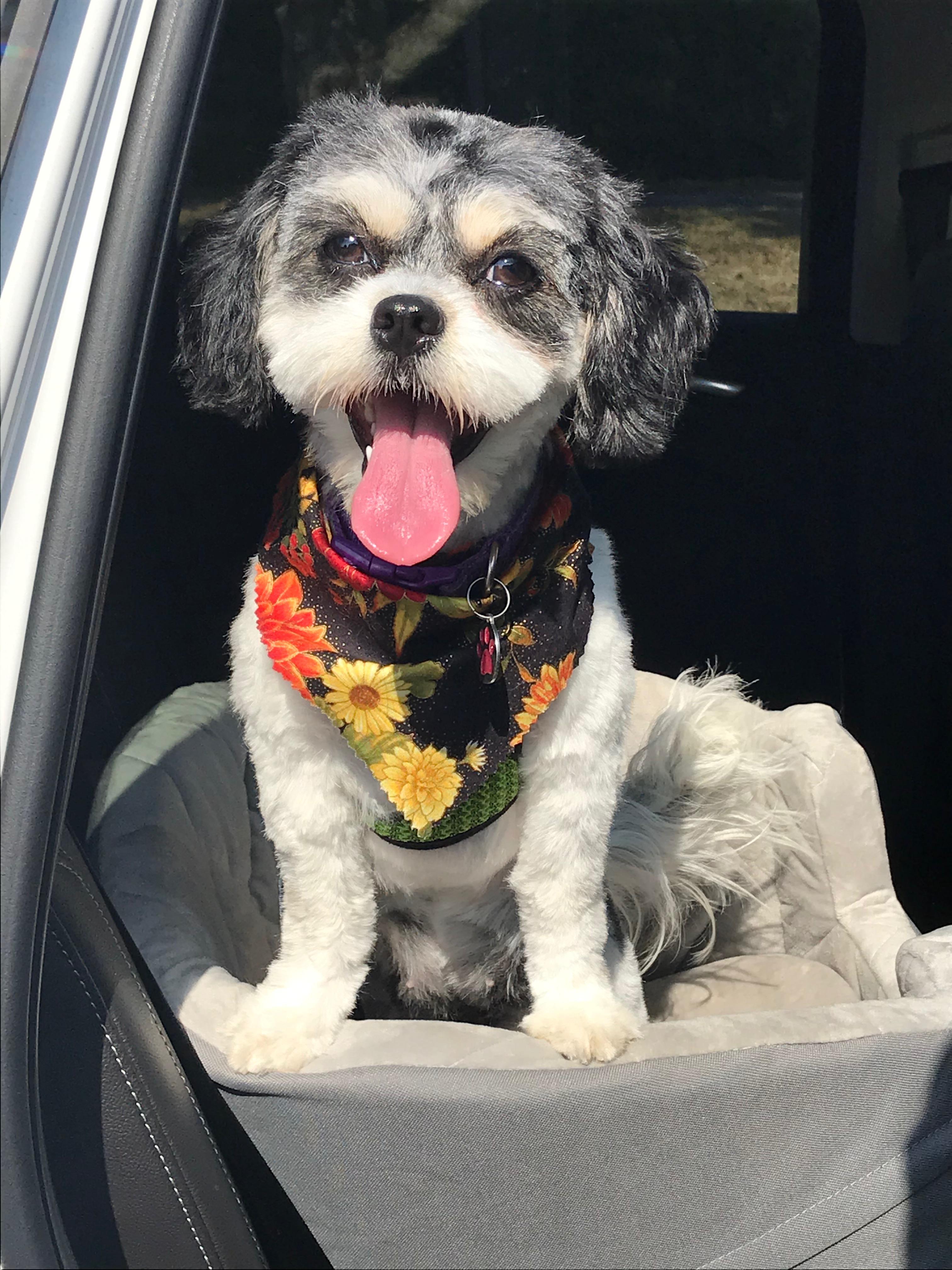 My Awesome Girl Mako Turned One Today! | Scrolller