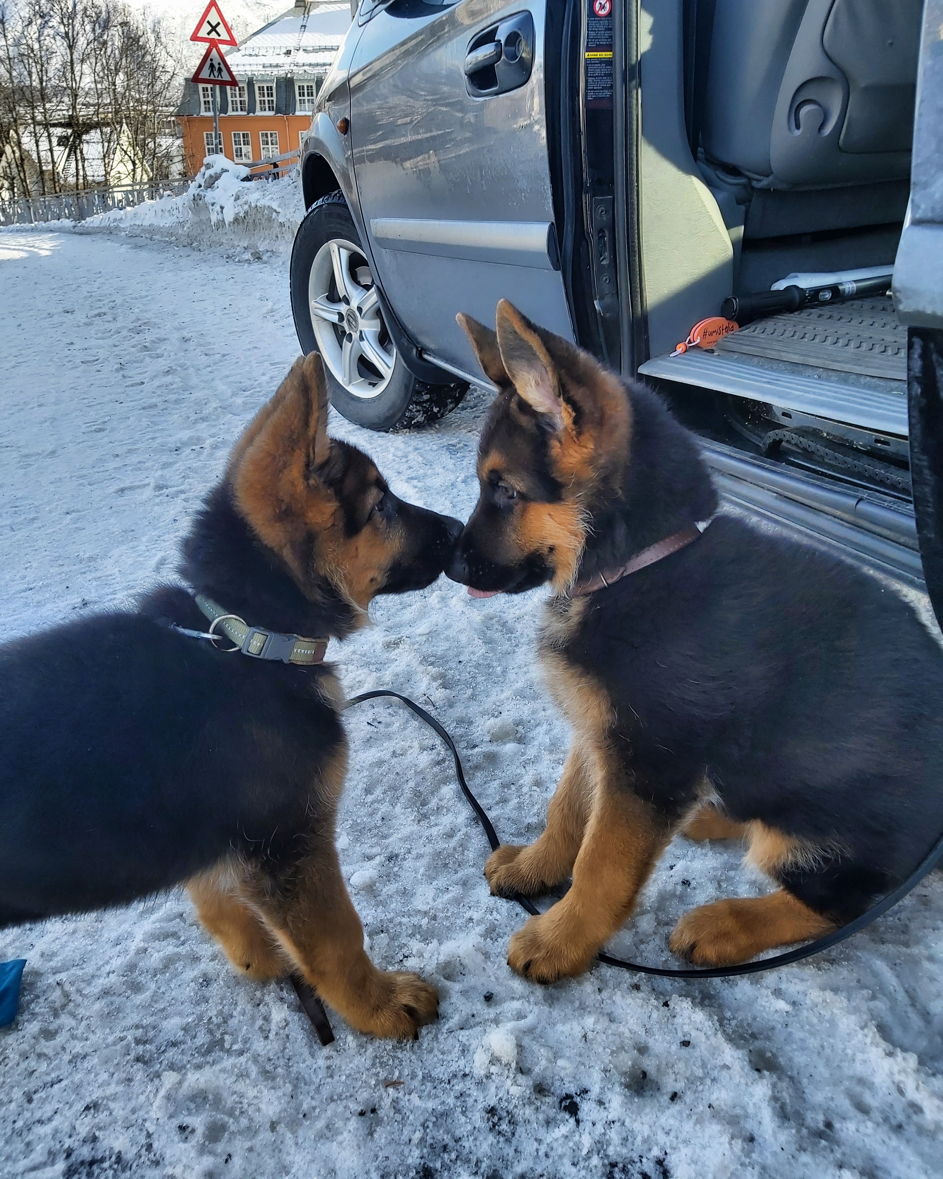 Sibling love 💕 | Scrolller