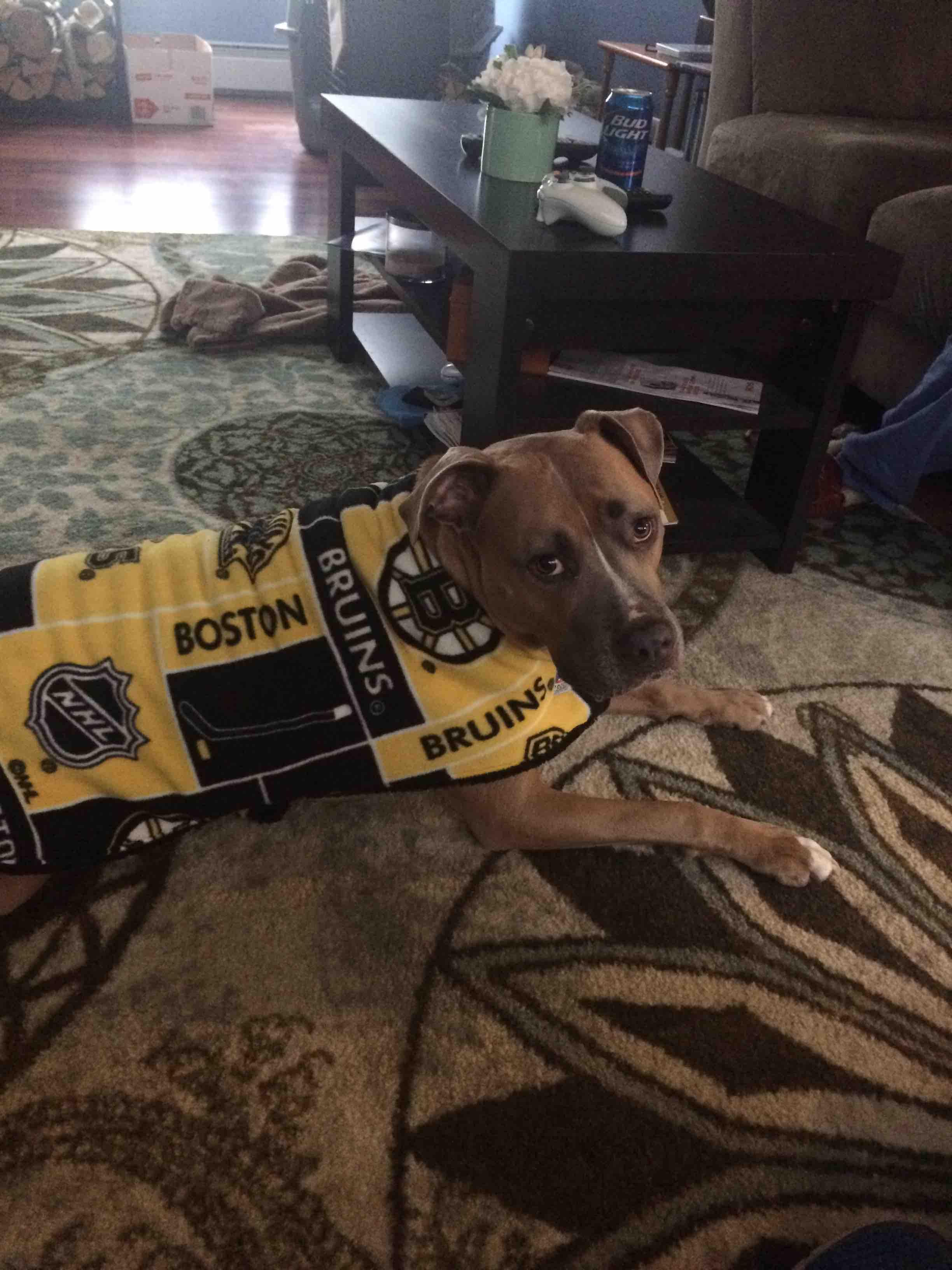 My baby girl showing her Bruins pride with a new jacket | Scrolller