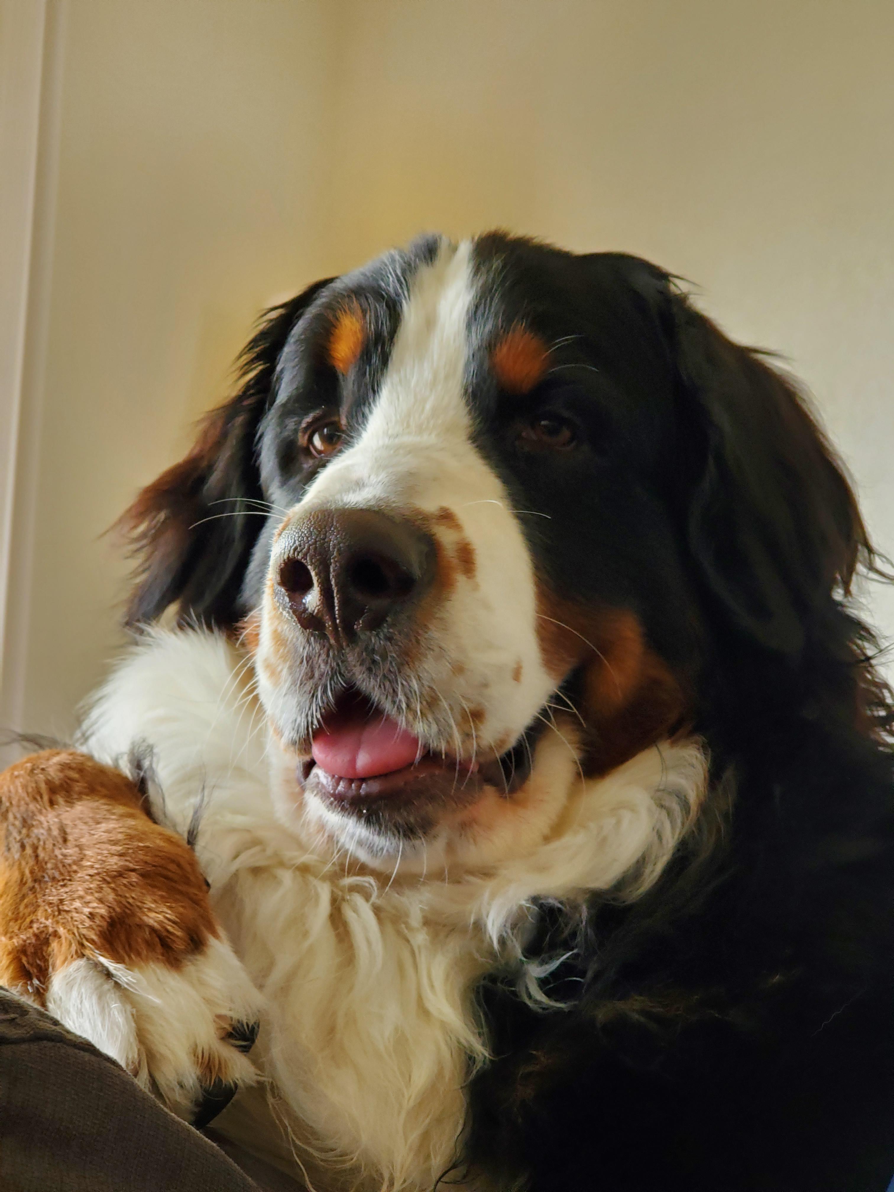 My beautiful boy | Scrolller