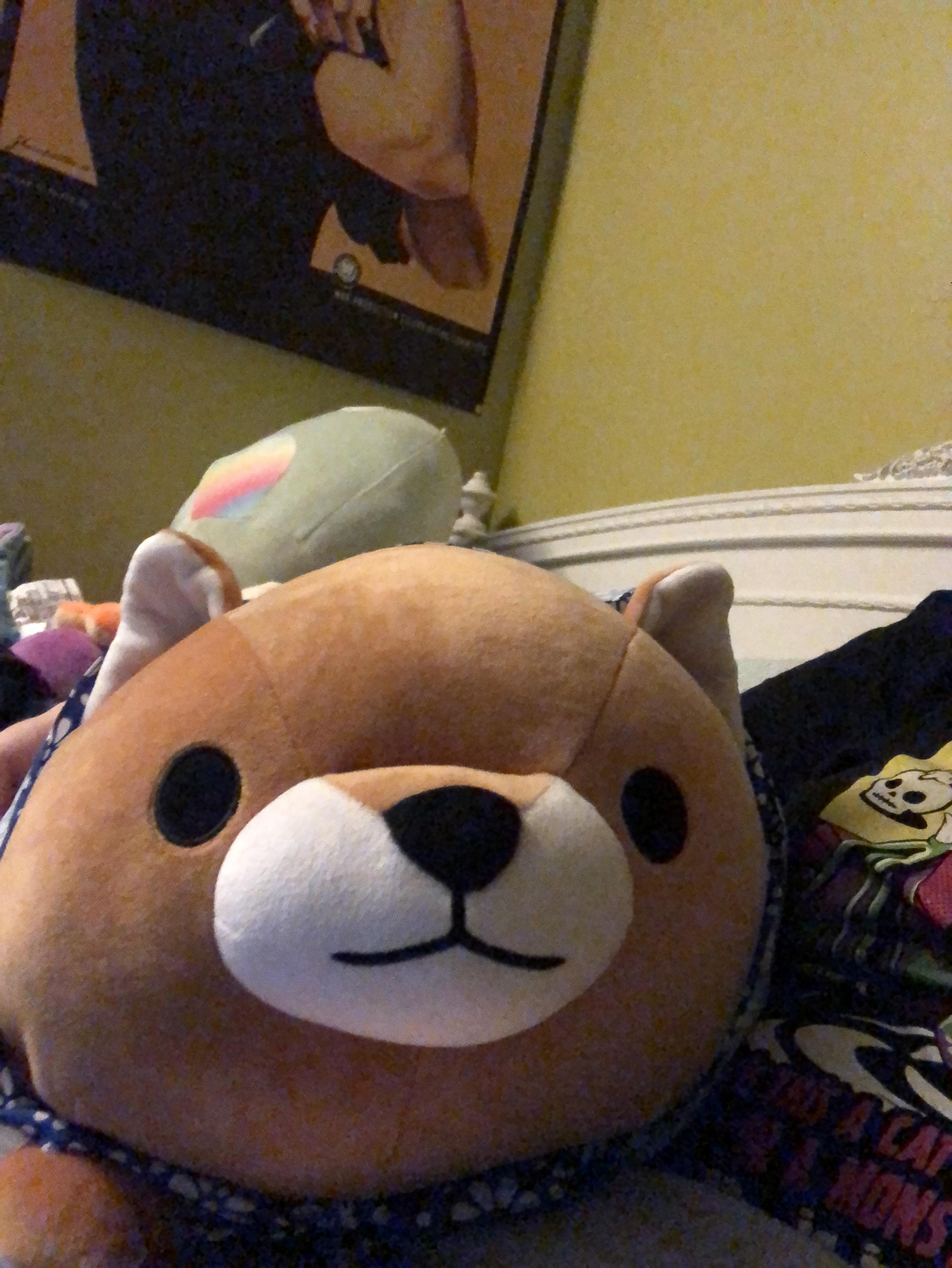 My best friend (who recently figured out she is also a little) and I got matching shiba ...
