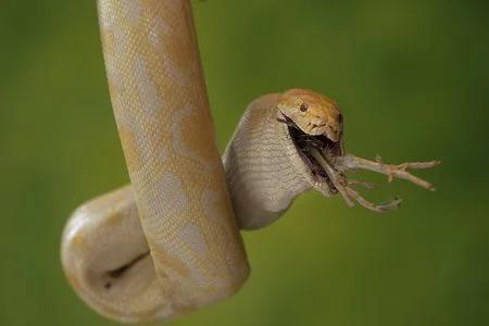 “My big meal” | Scrolller