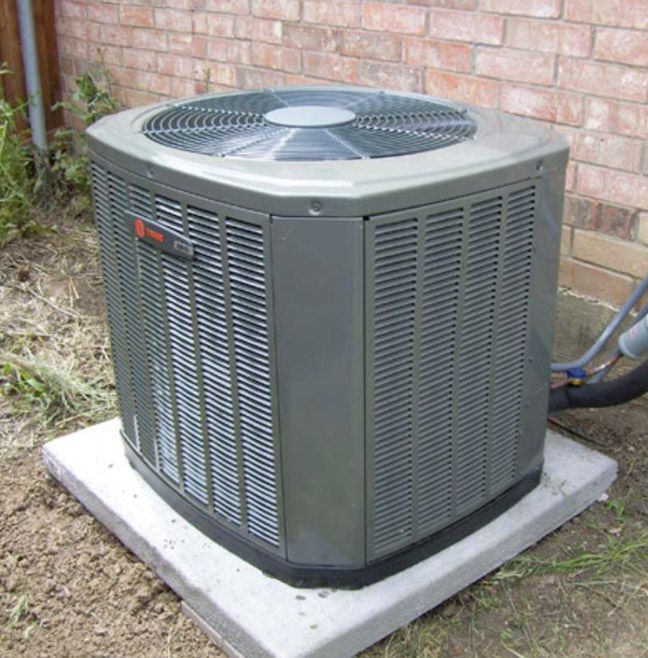 My big, thick unit. | Scrolller