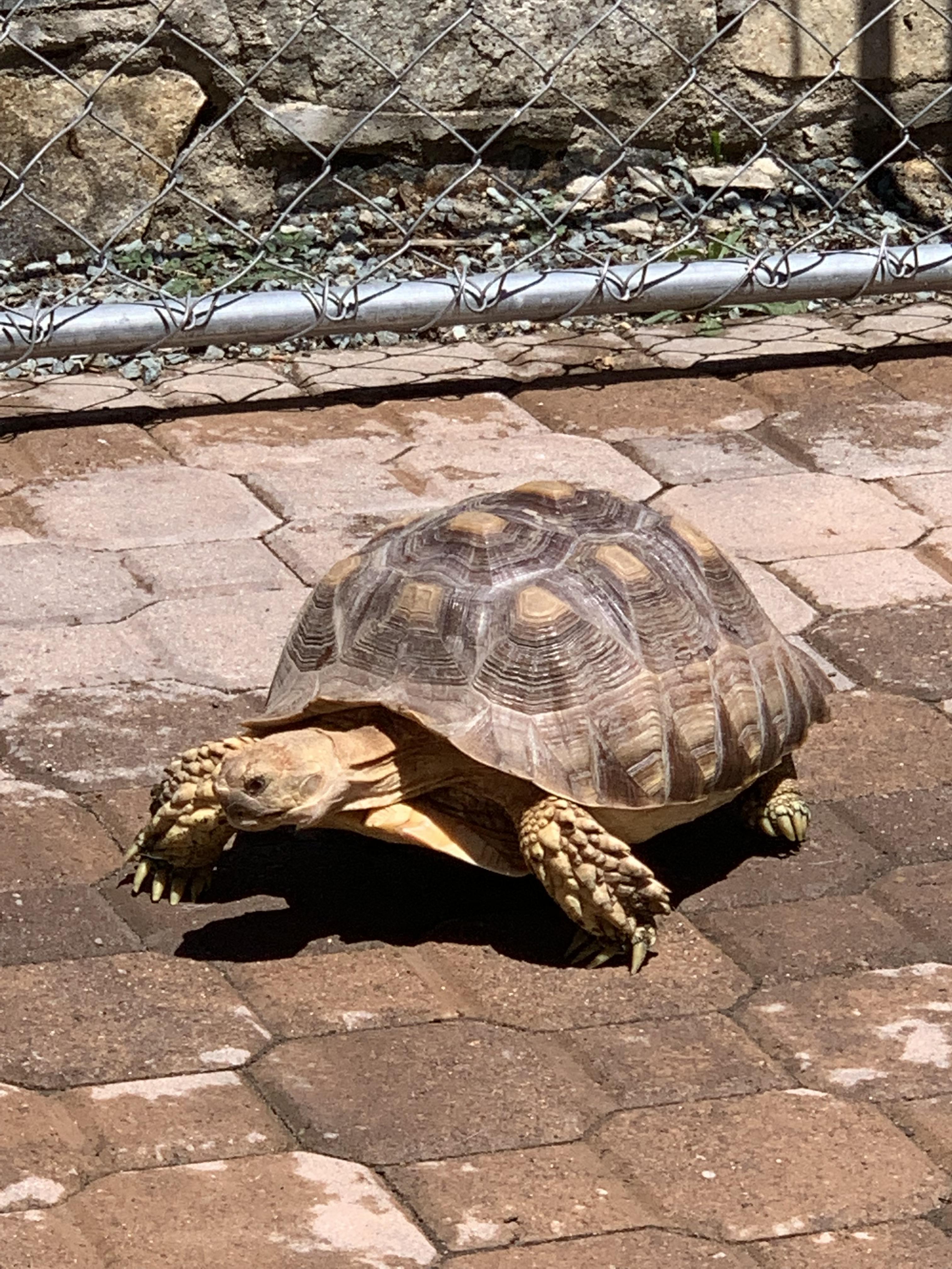 My boy James Cornflake | Scrolller