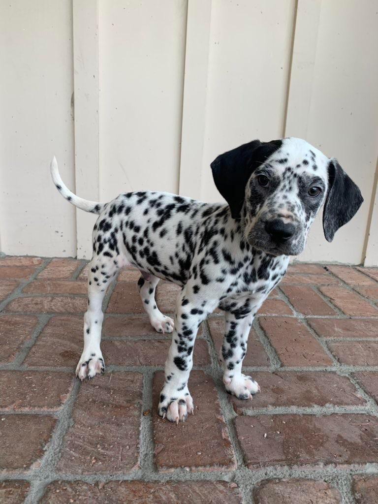 My boy Lucas | Scrolller