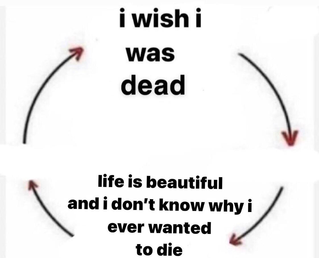 my brain every five seconds | Scrolller