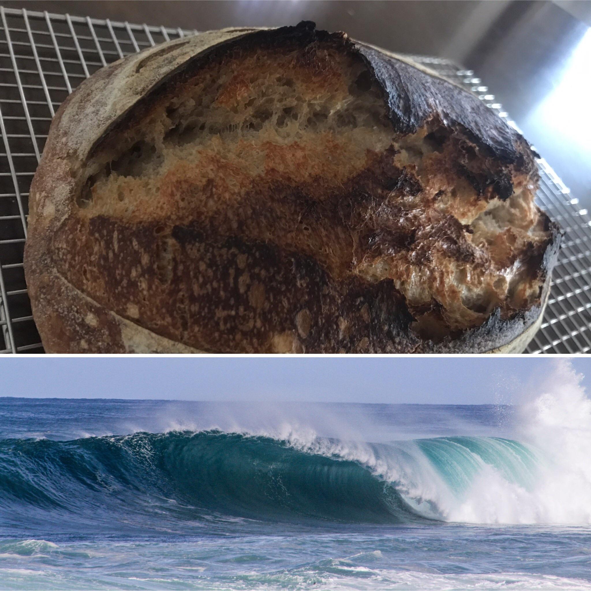 My bread is wilder. | Scrolller