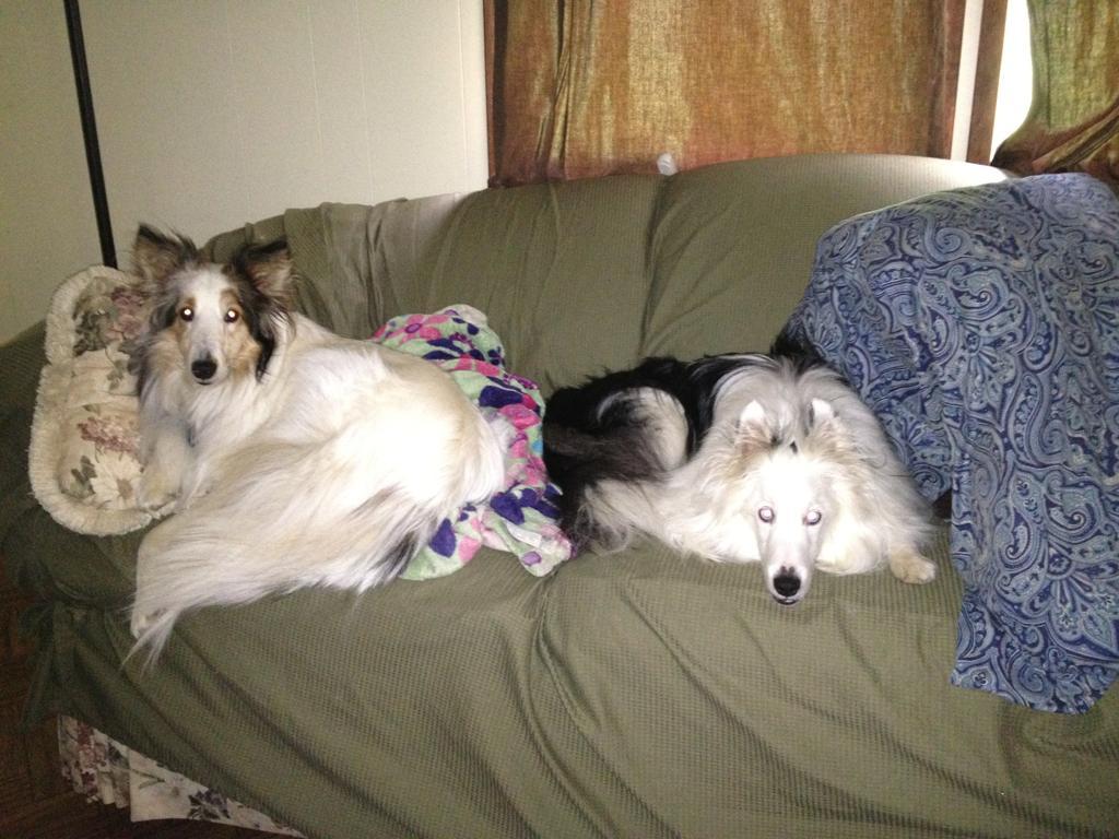 My buddies | Scrolller