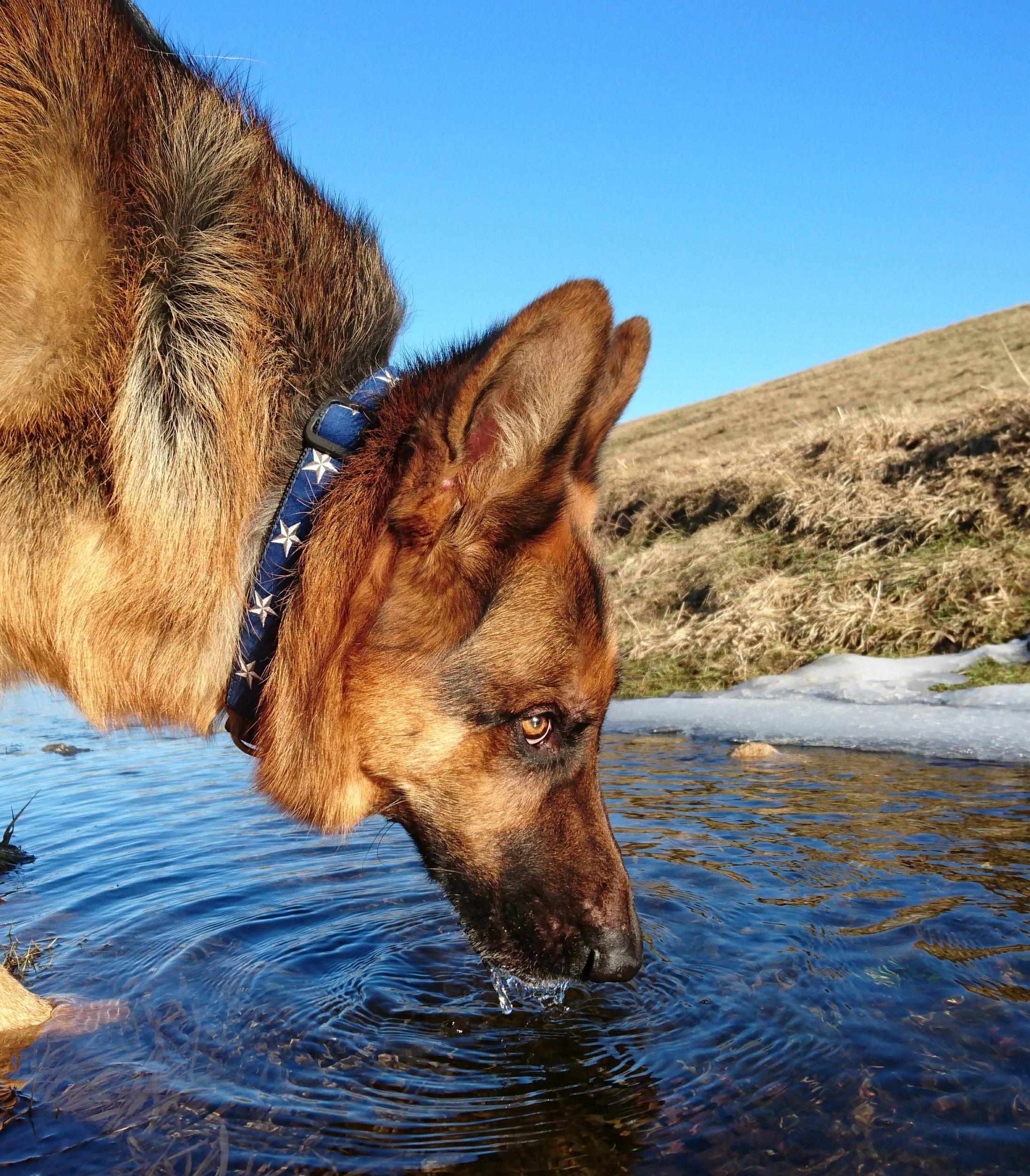 My buddy The Kaiser | Scrolller