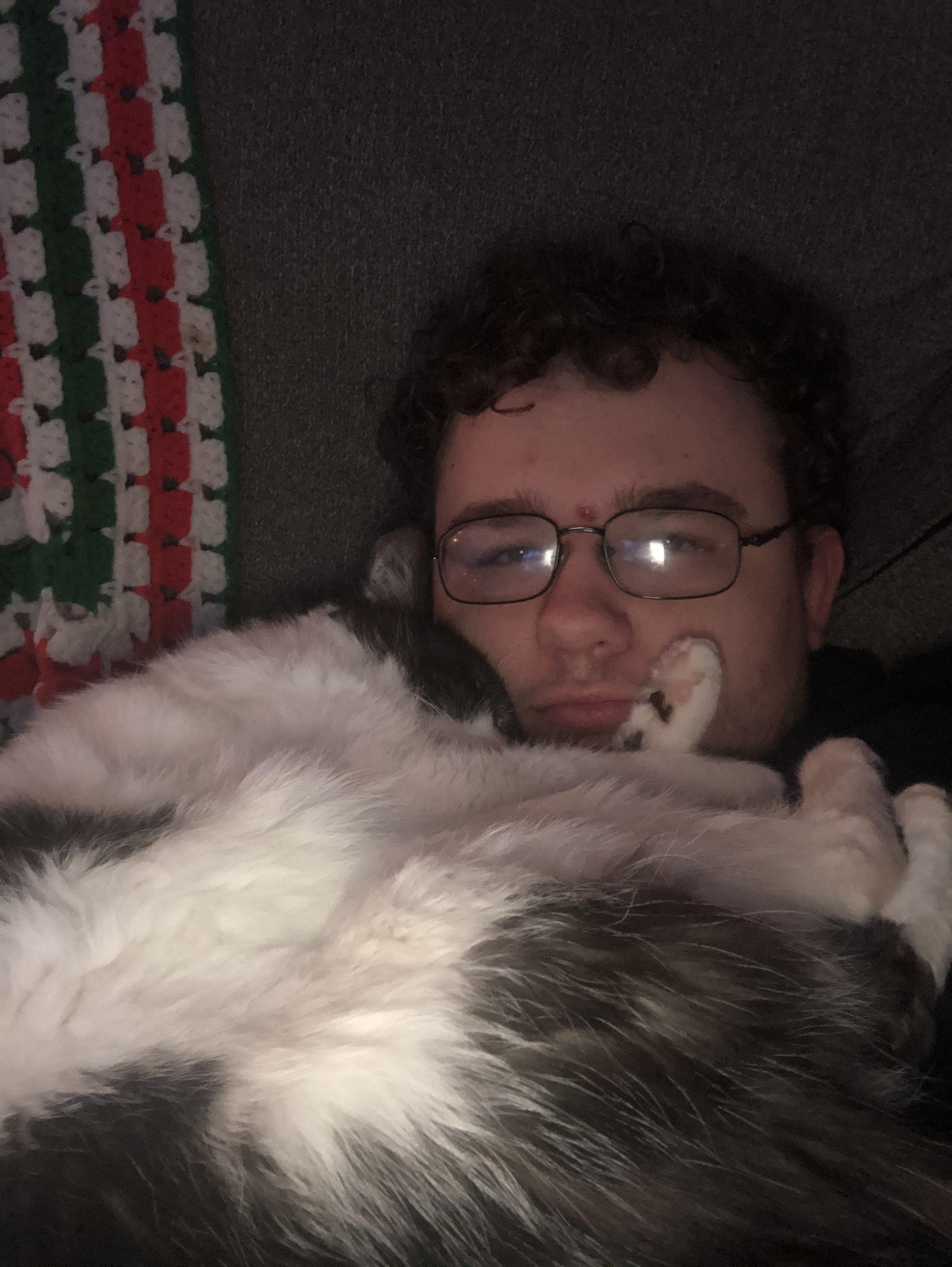 My cats new favorite place to sleep | Scrolller