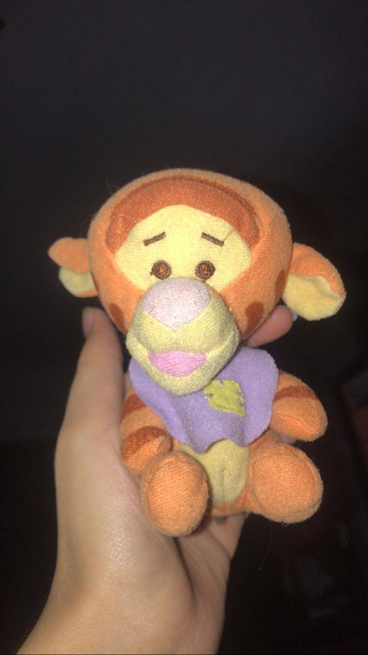 My childhood Tigger plush. Does anyone have a picture of the whole set? | Scrolller