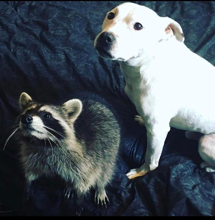 My children | Scrolller