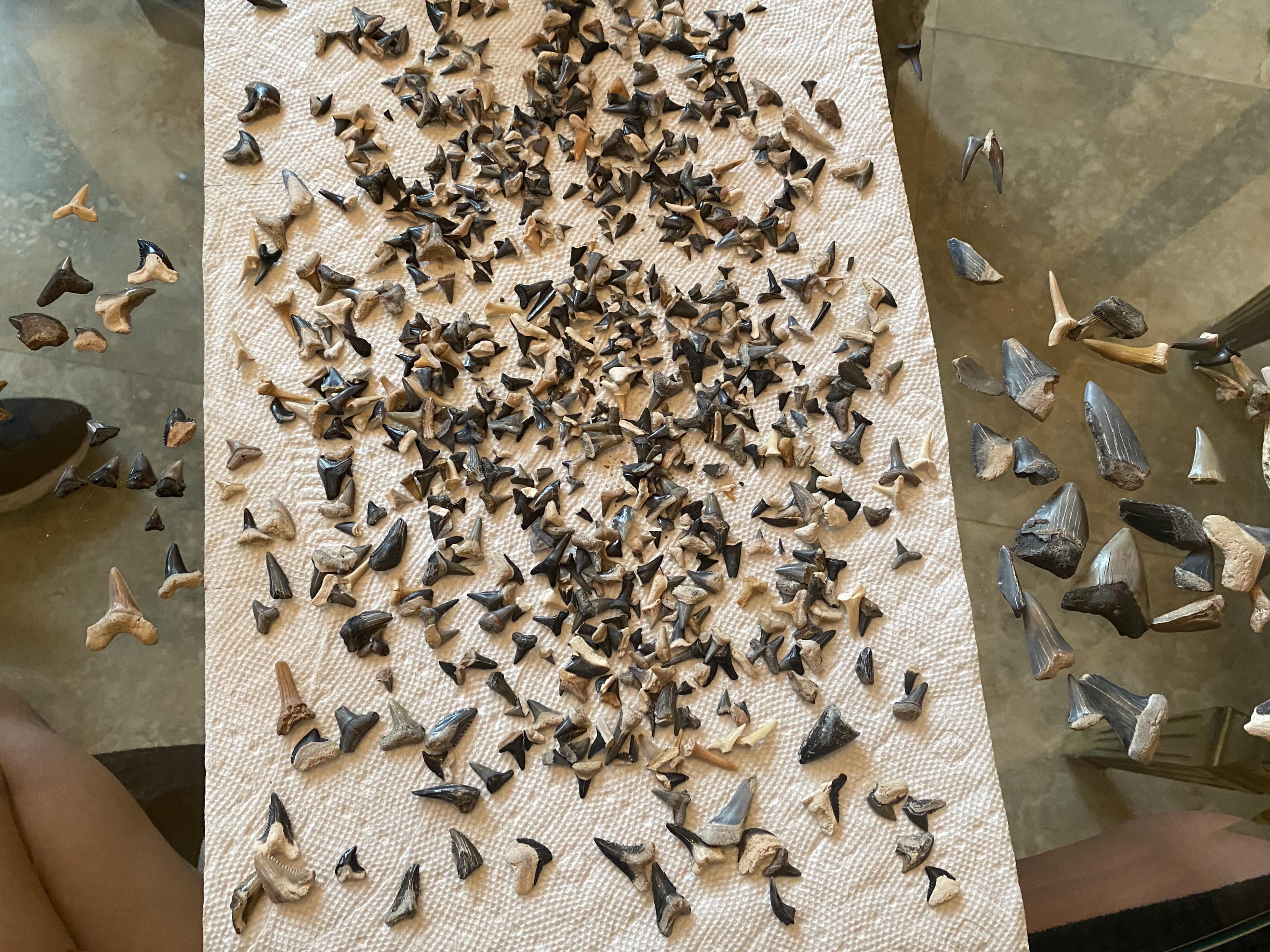 my collection!!! | Scrolller