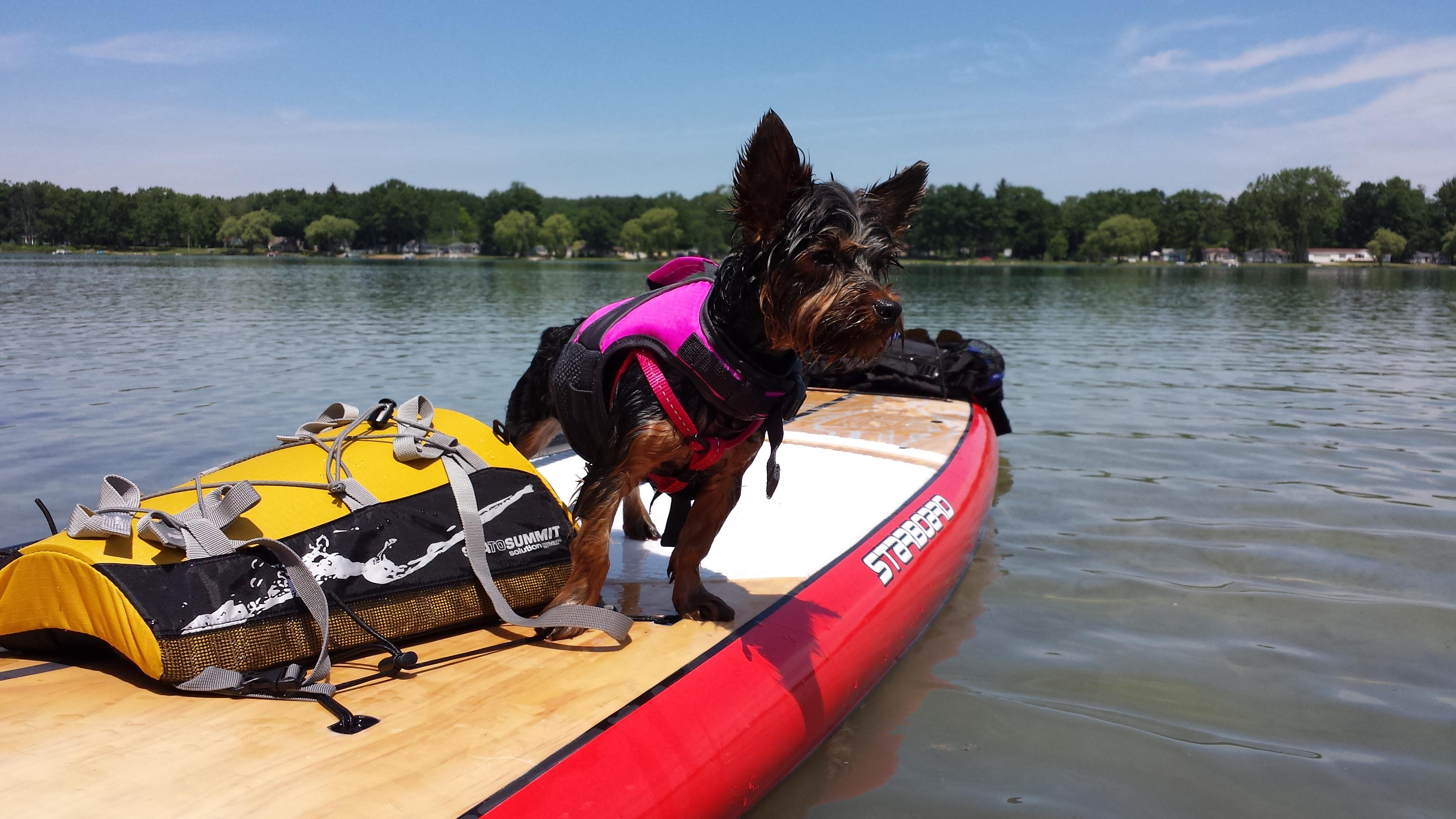 My copilot | Scrolller