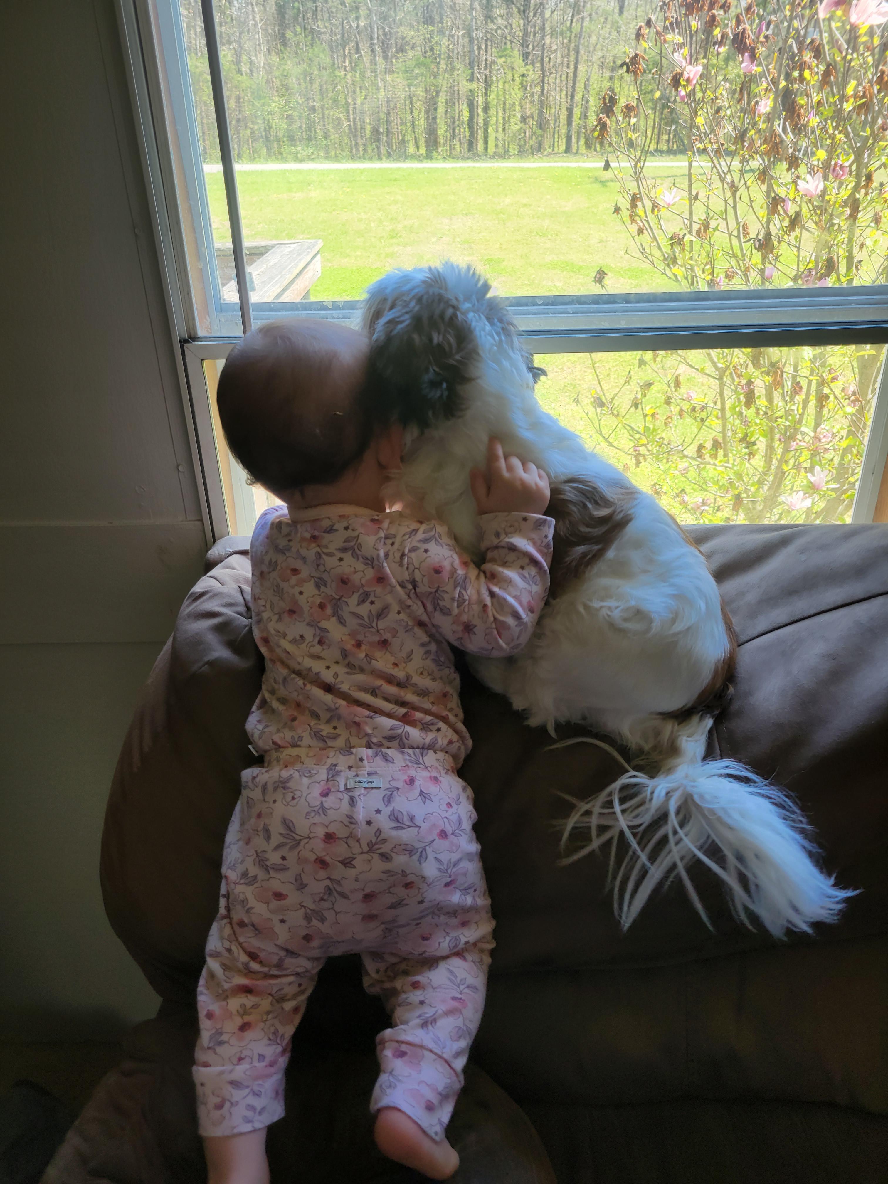 My Daughter and Dog | Scrolller
