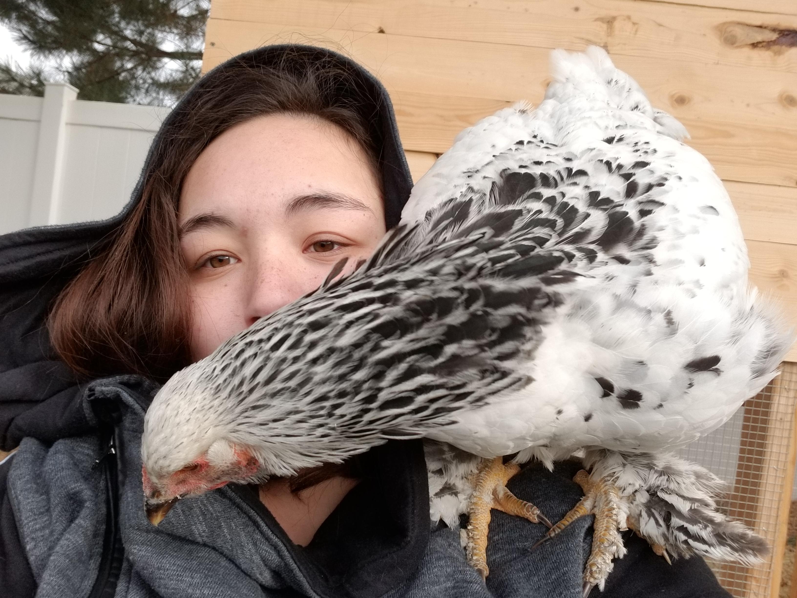 My familiar Peep | Scrolller