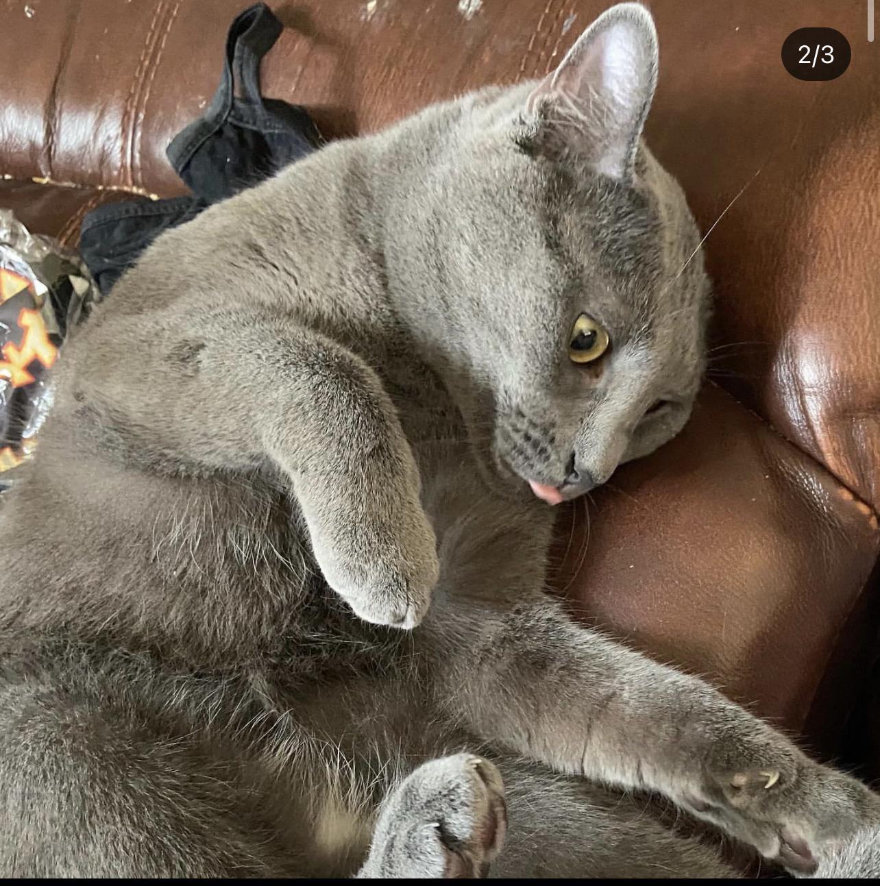 my favorite bean | Scrolller