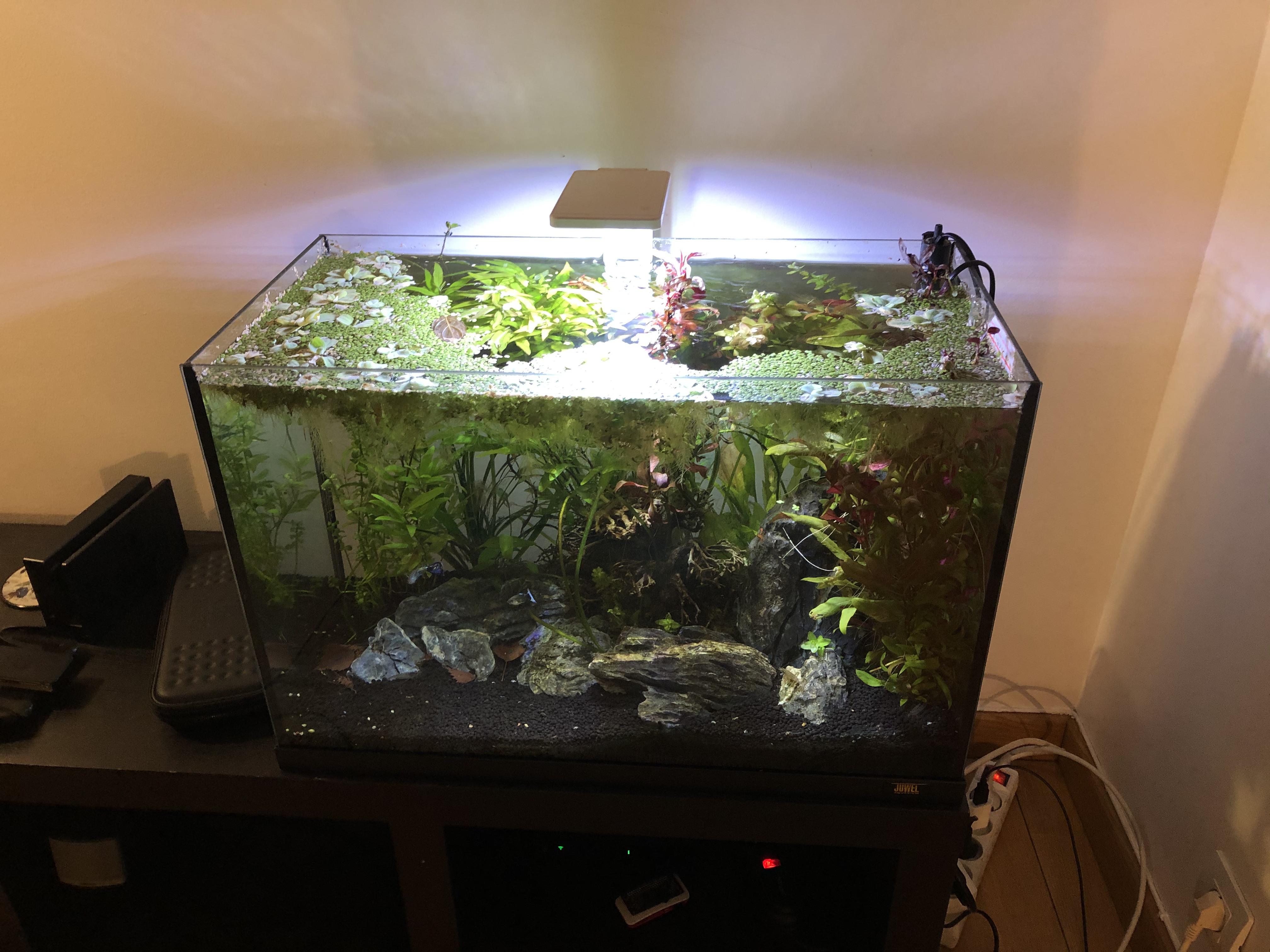 My first attempt | Scrolller