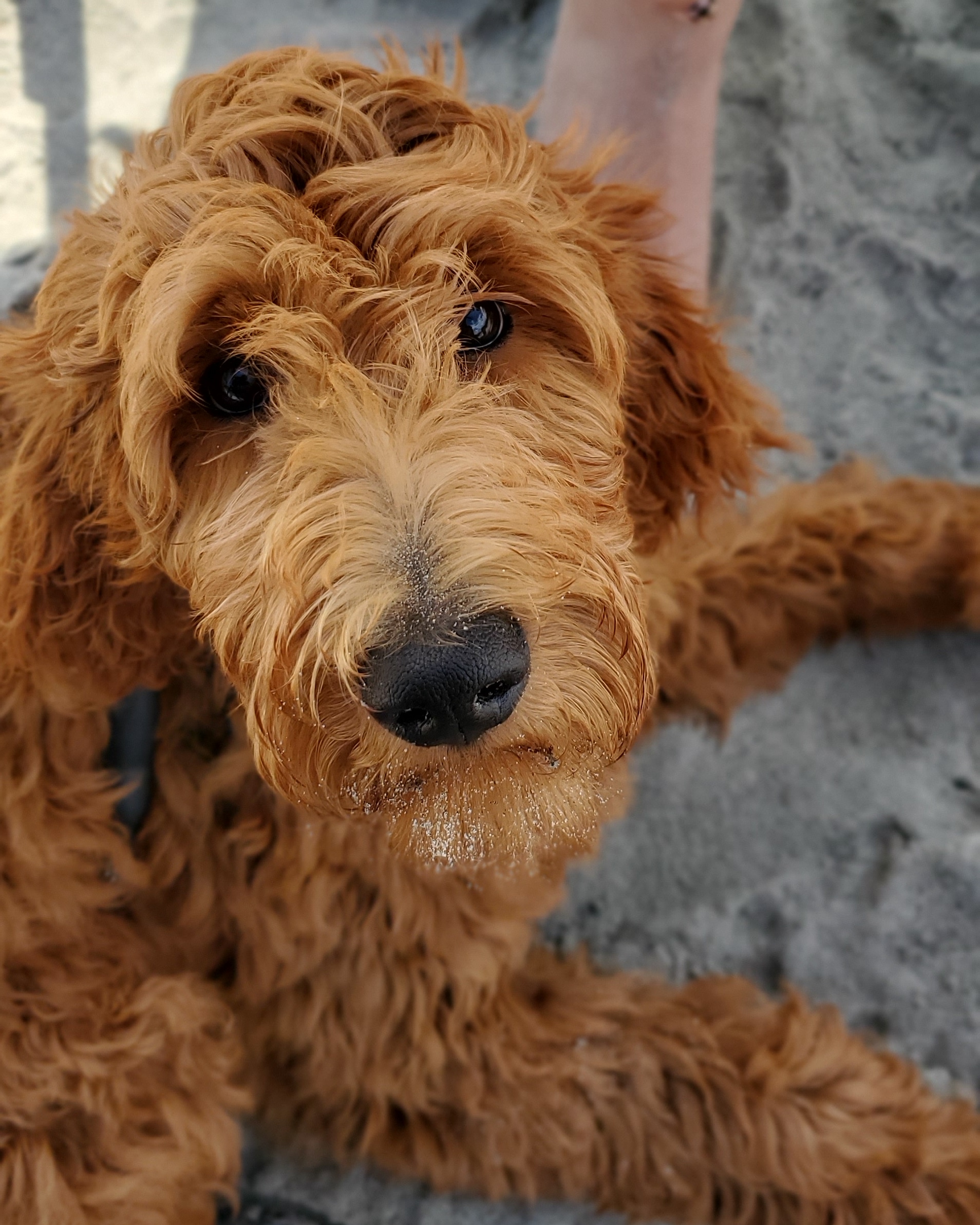 My first beach visit | Scrolller