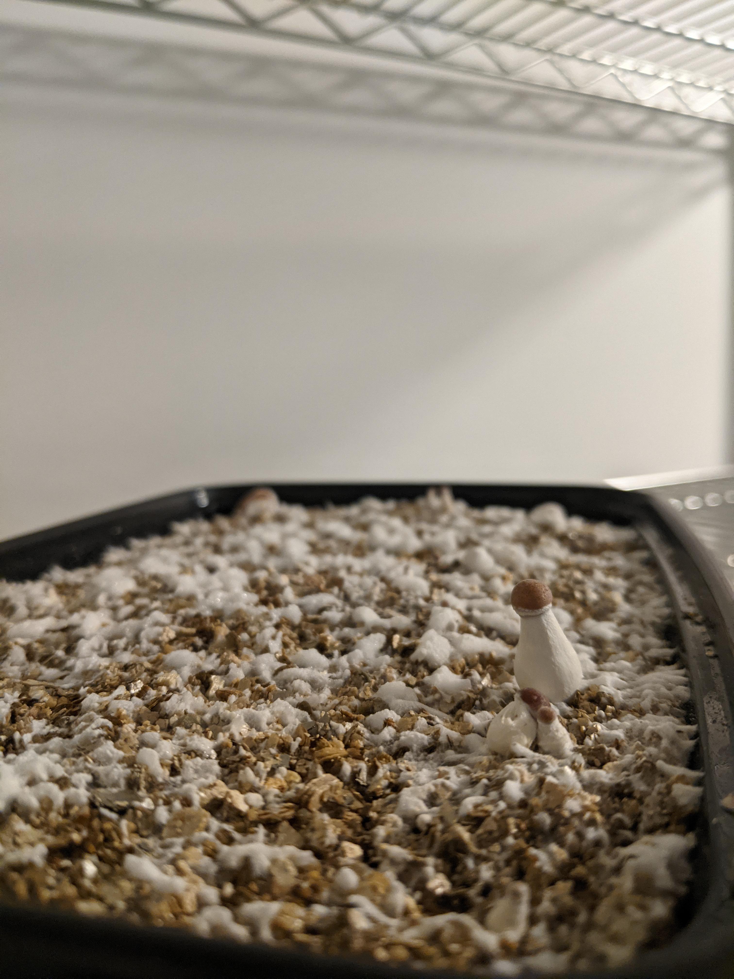 My first born son!!!! 😍 | Scrolller