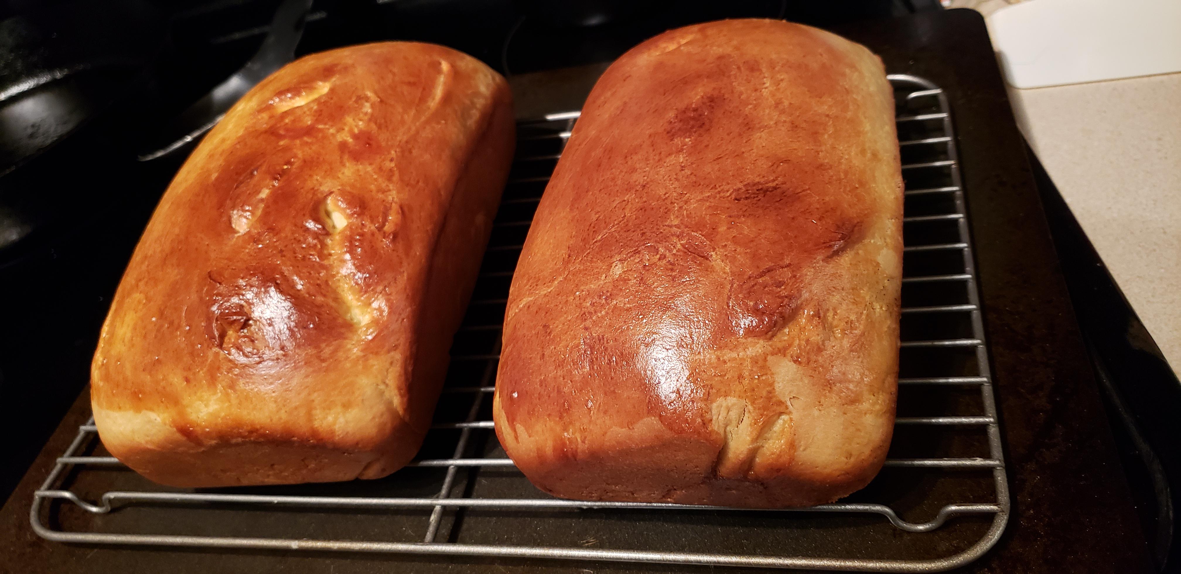 My first brioche loaves! | Scrolller