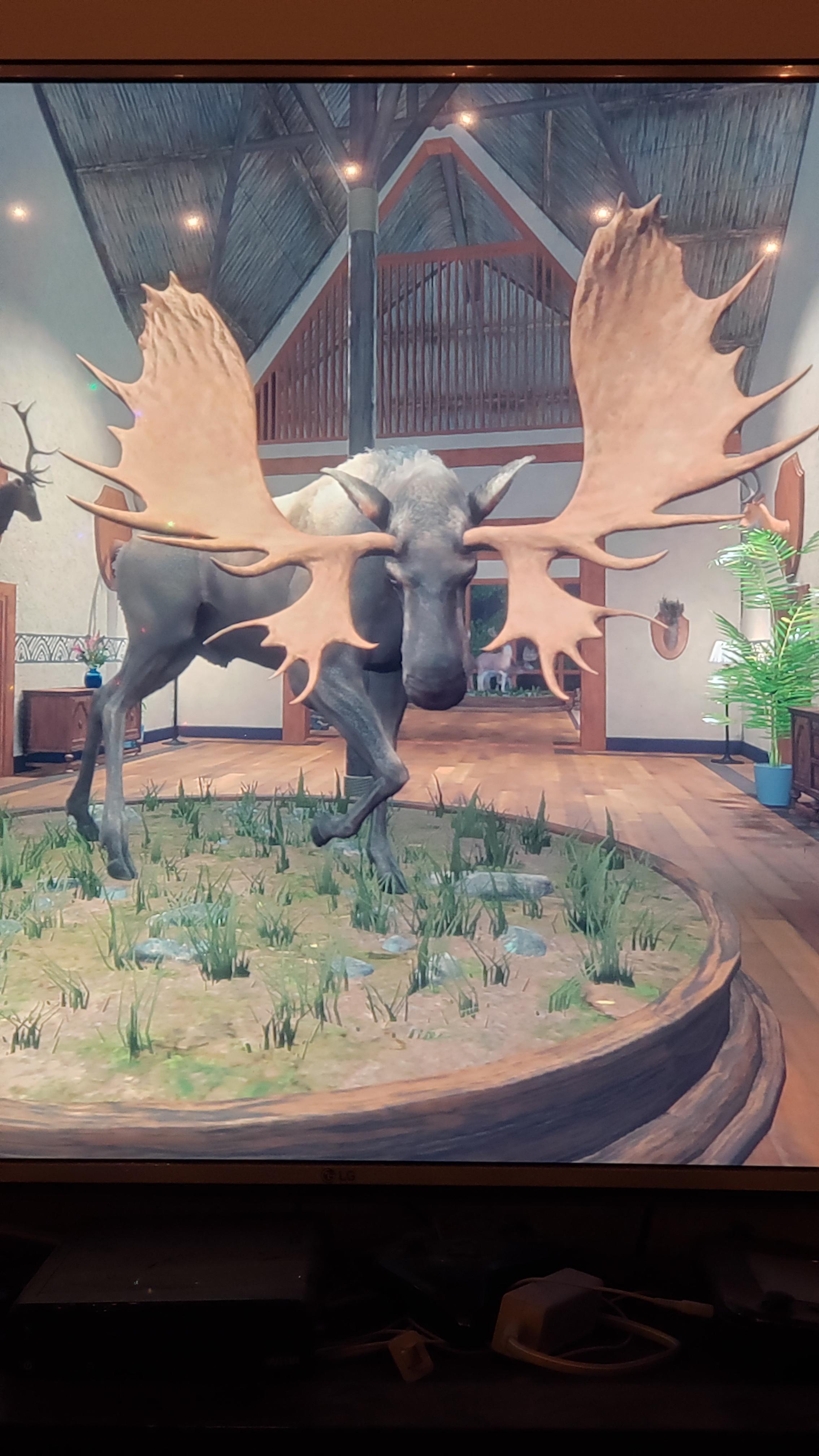 My first diamond moose | Scrolller