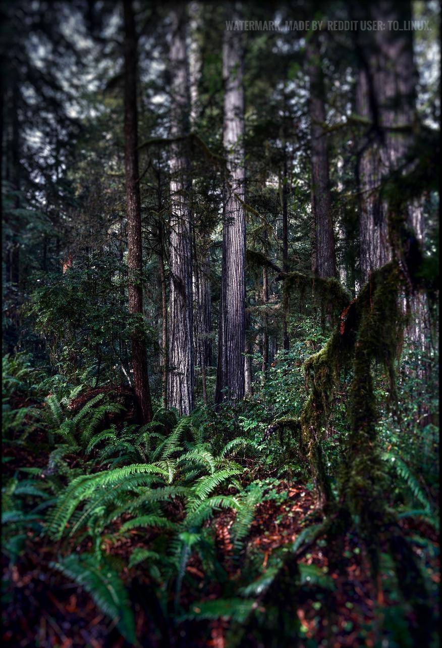 My first edit! | Scrolller