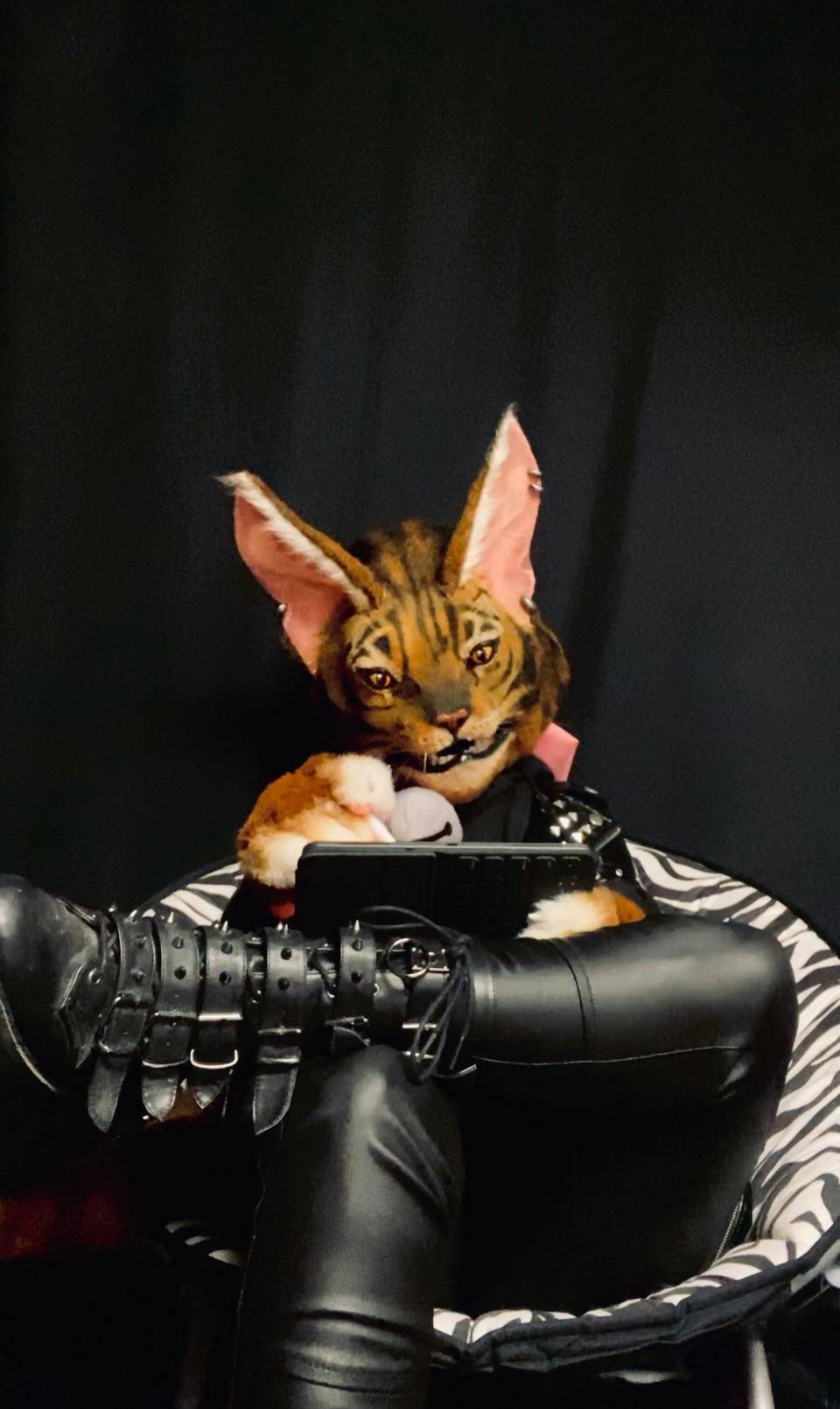 My first fursuit, Vitawny Cat. | Scrolller