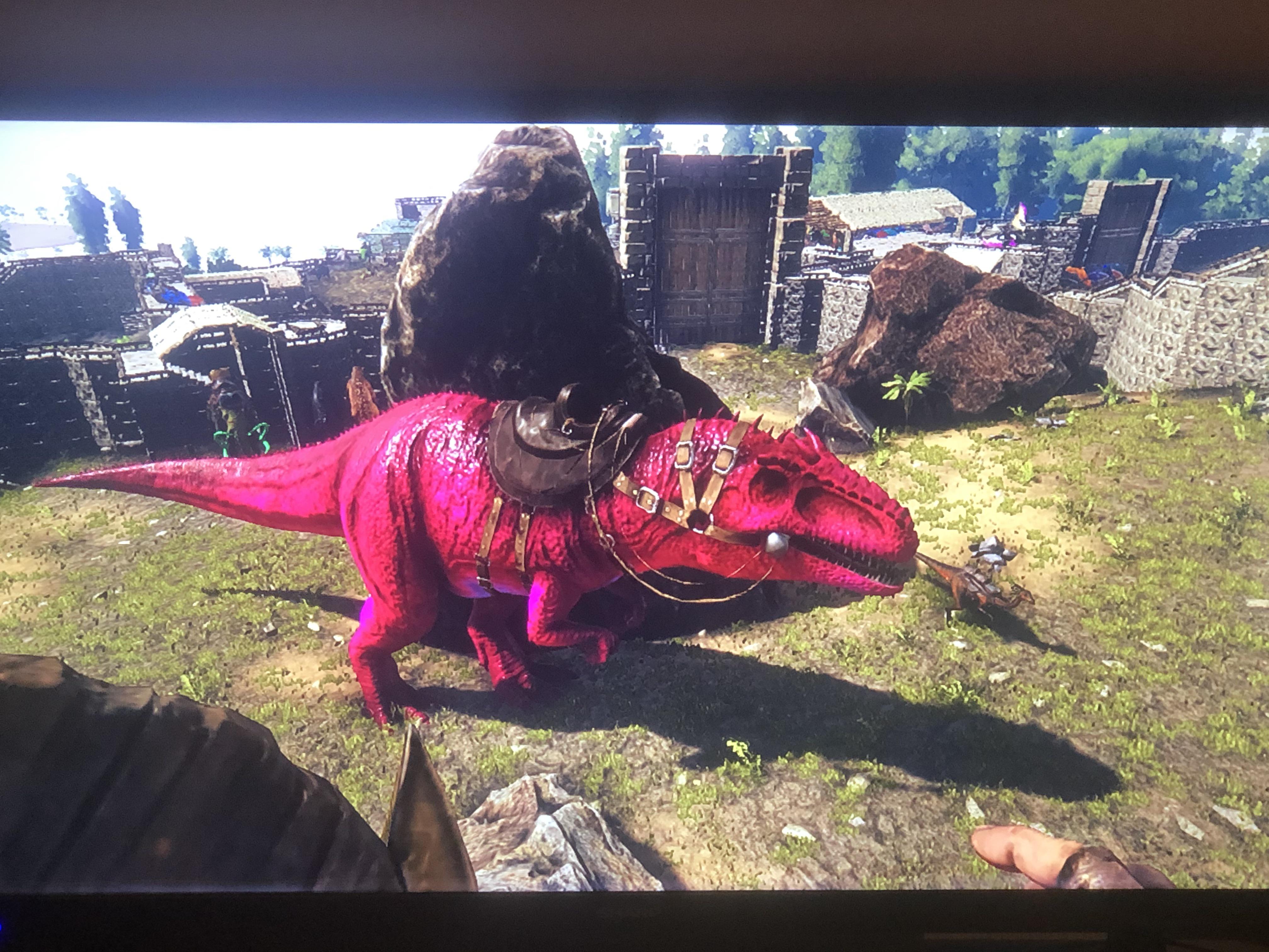 My first Giga , I find his color beautiful but he is really bad in attack , go breeding | Scrolller