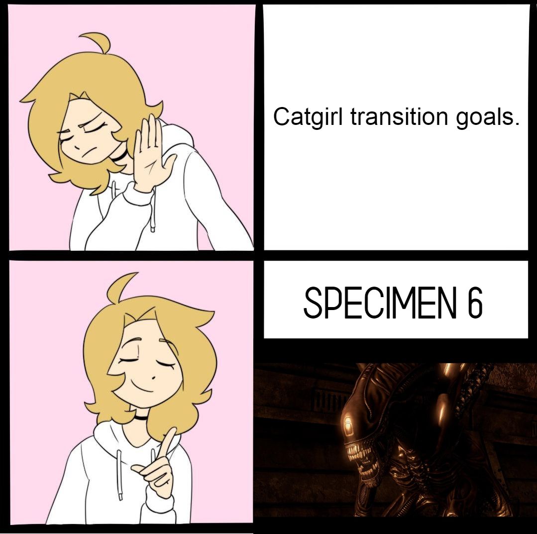 My first meme and it's a massively oversaturated format. | Scrolller