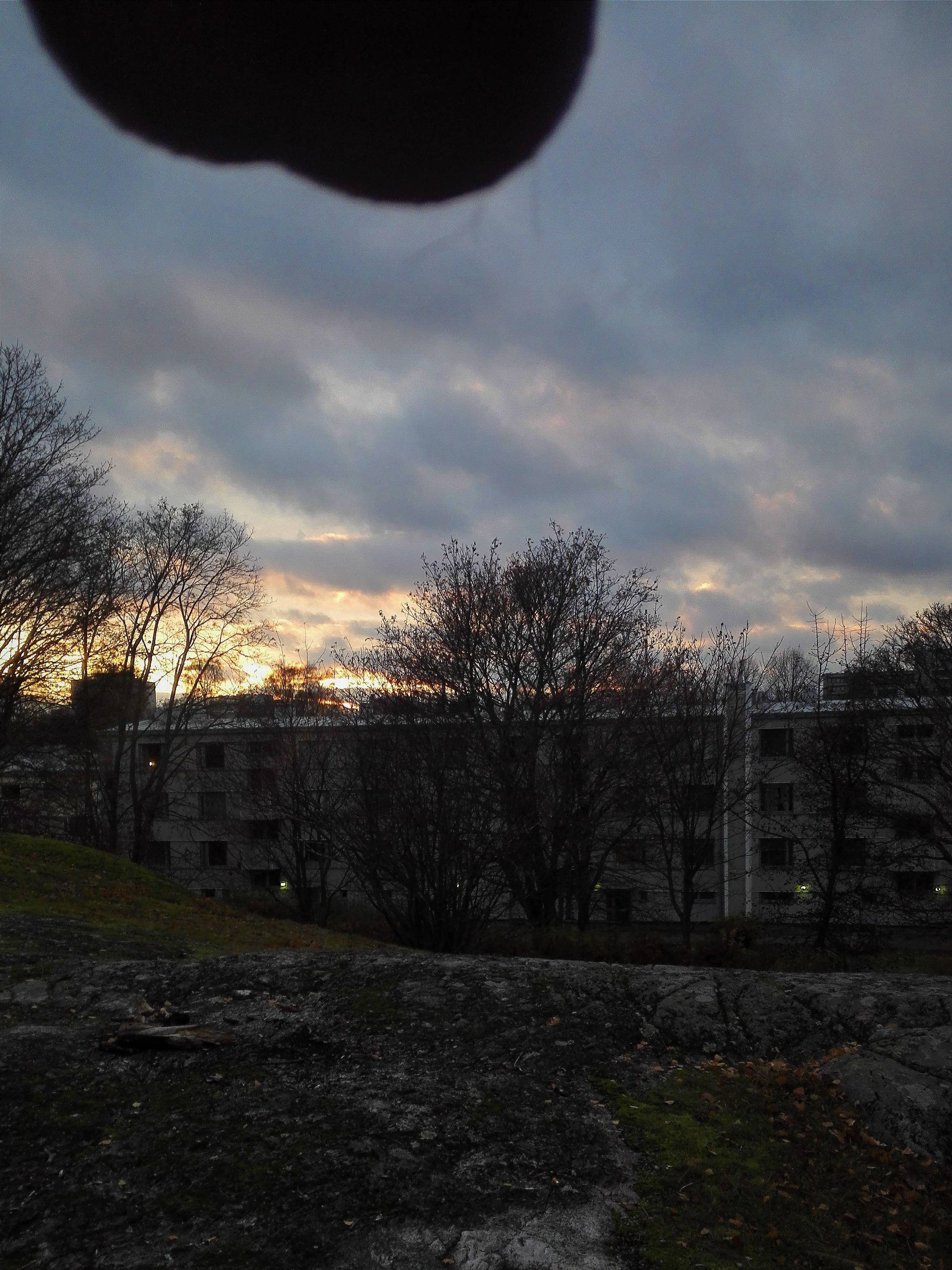 My first nutscaping attempt | Scrolller