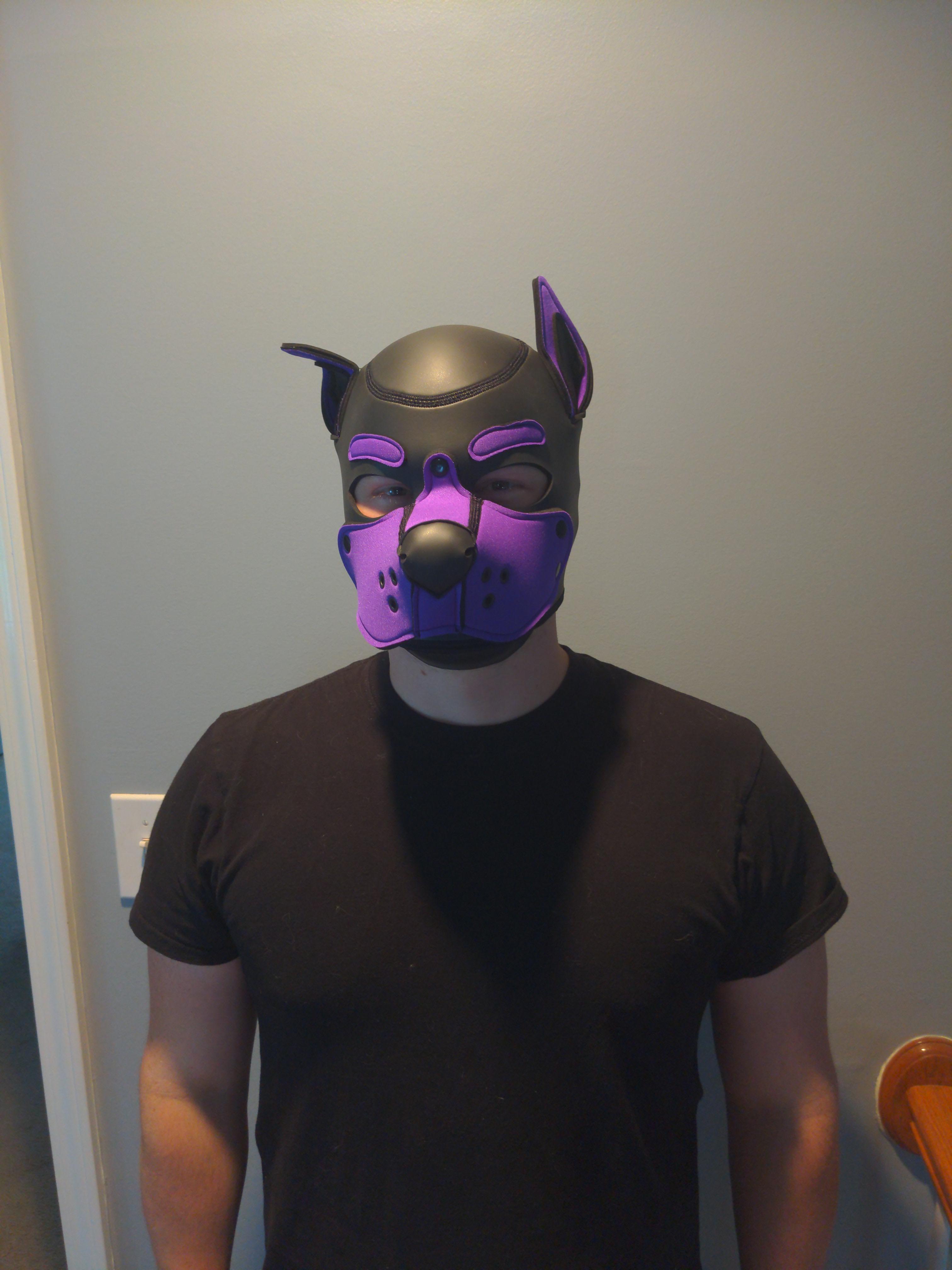 My first pup hood. So happy 😁 | Scrolller