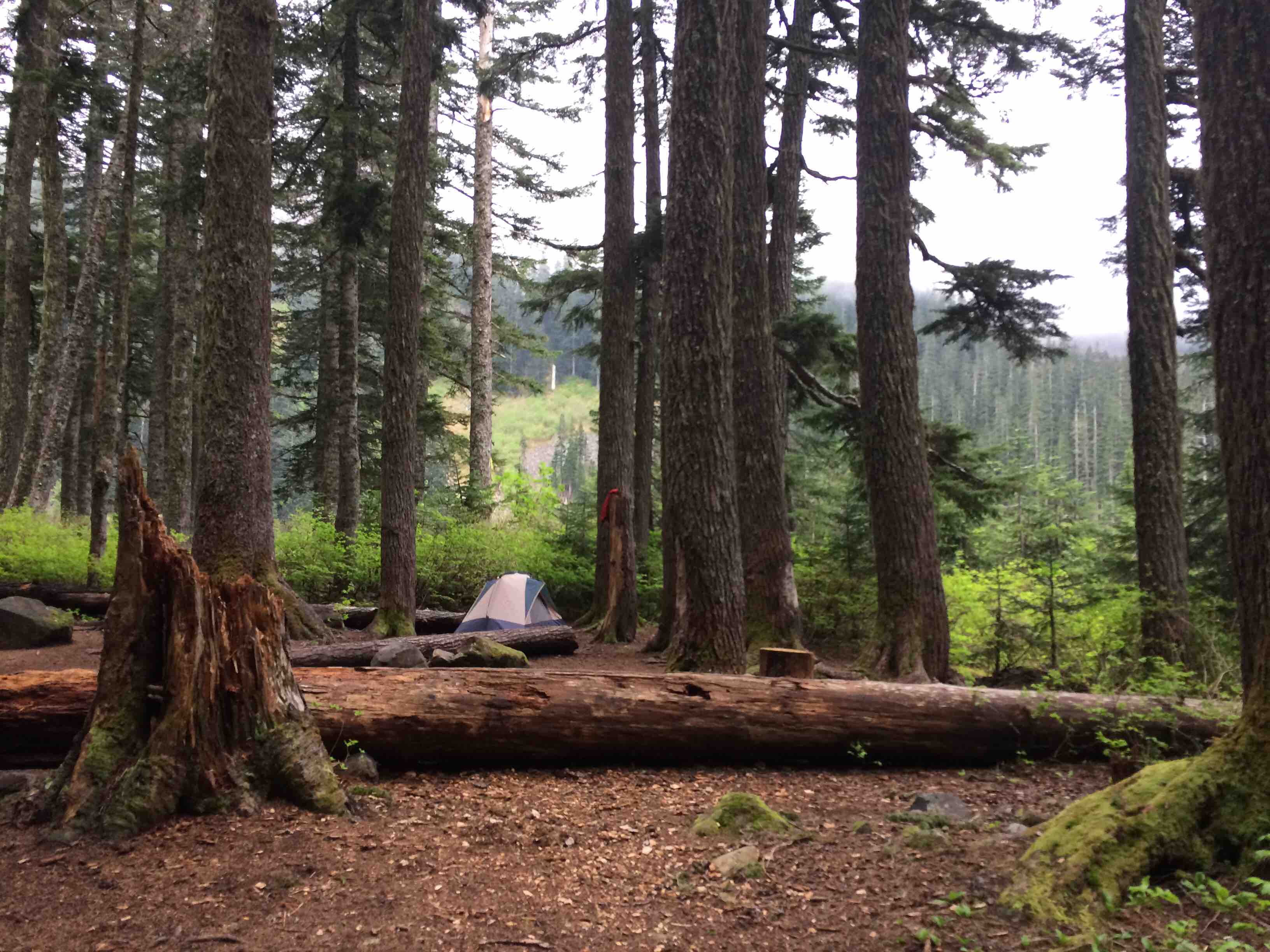My First Solo Trip, Annette Lake PNW | Scrolller