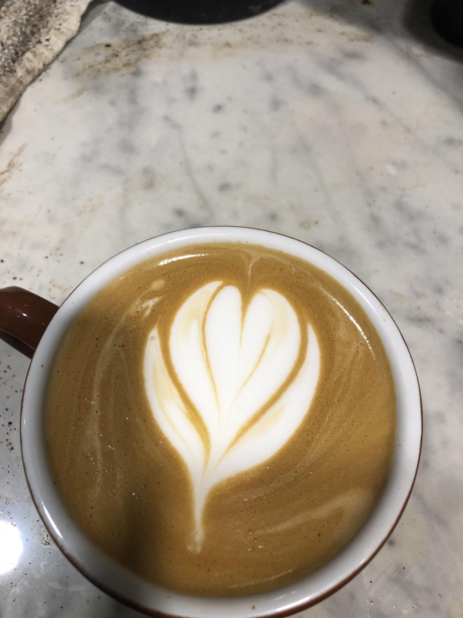 My First Tulip | Scrolller