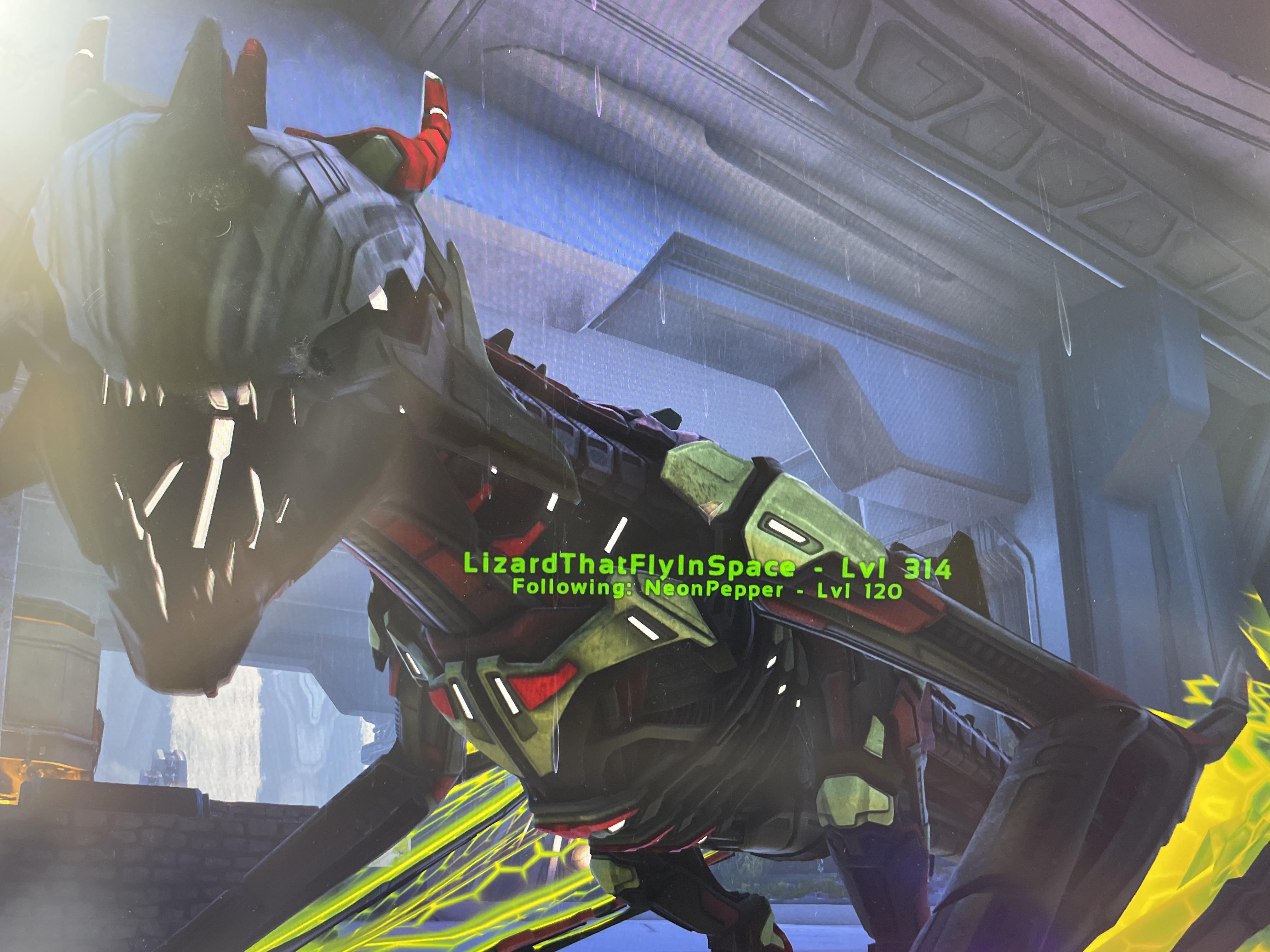 My first Voidwyrm! Tamed with Fab. Sniper | Scrolller