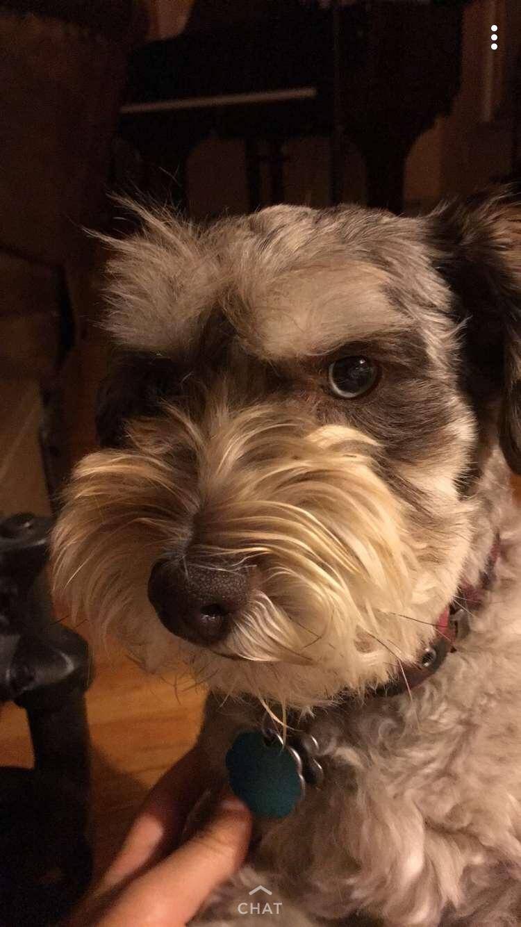 My friend’s grumpy teddybear! | Scrolller