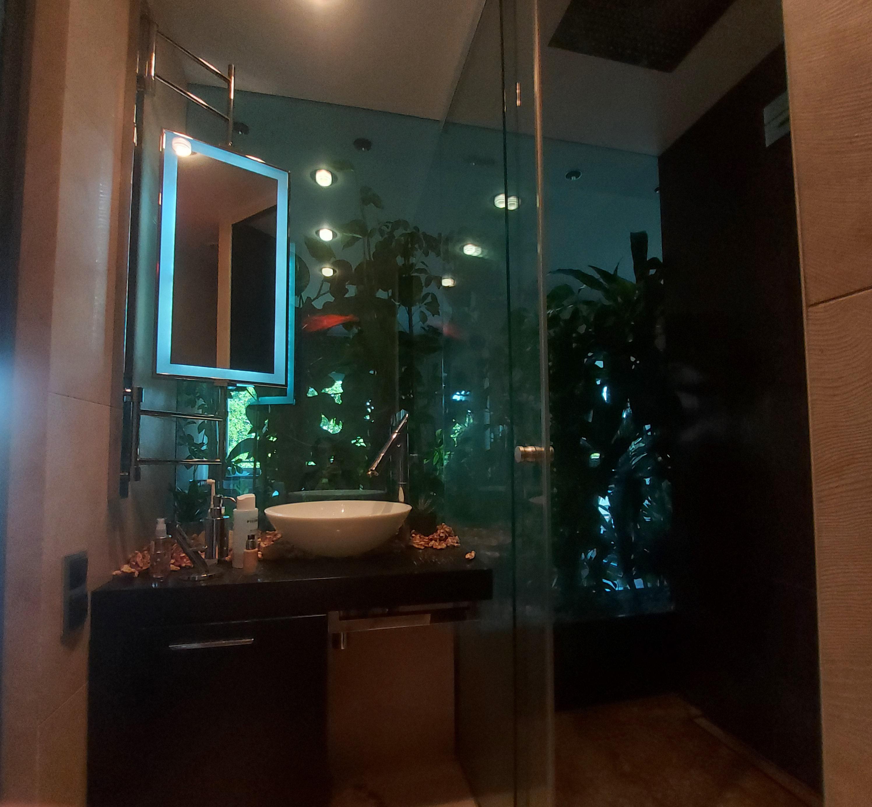 My friend's bathroom has glass walls that are see-through. | Scrolller