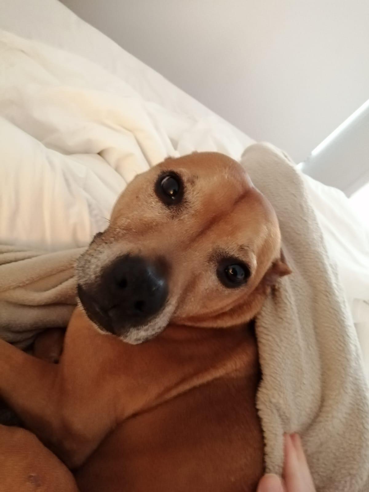 My handsome boy ️ | Scrolller