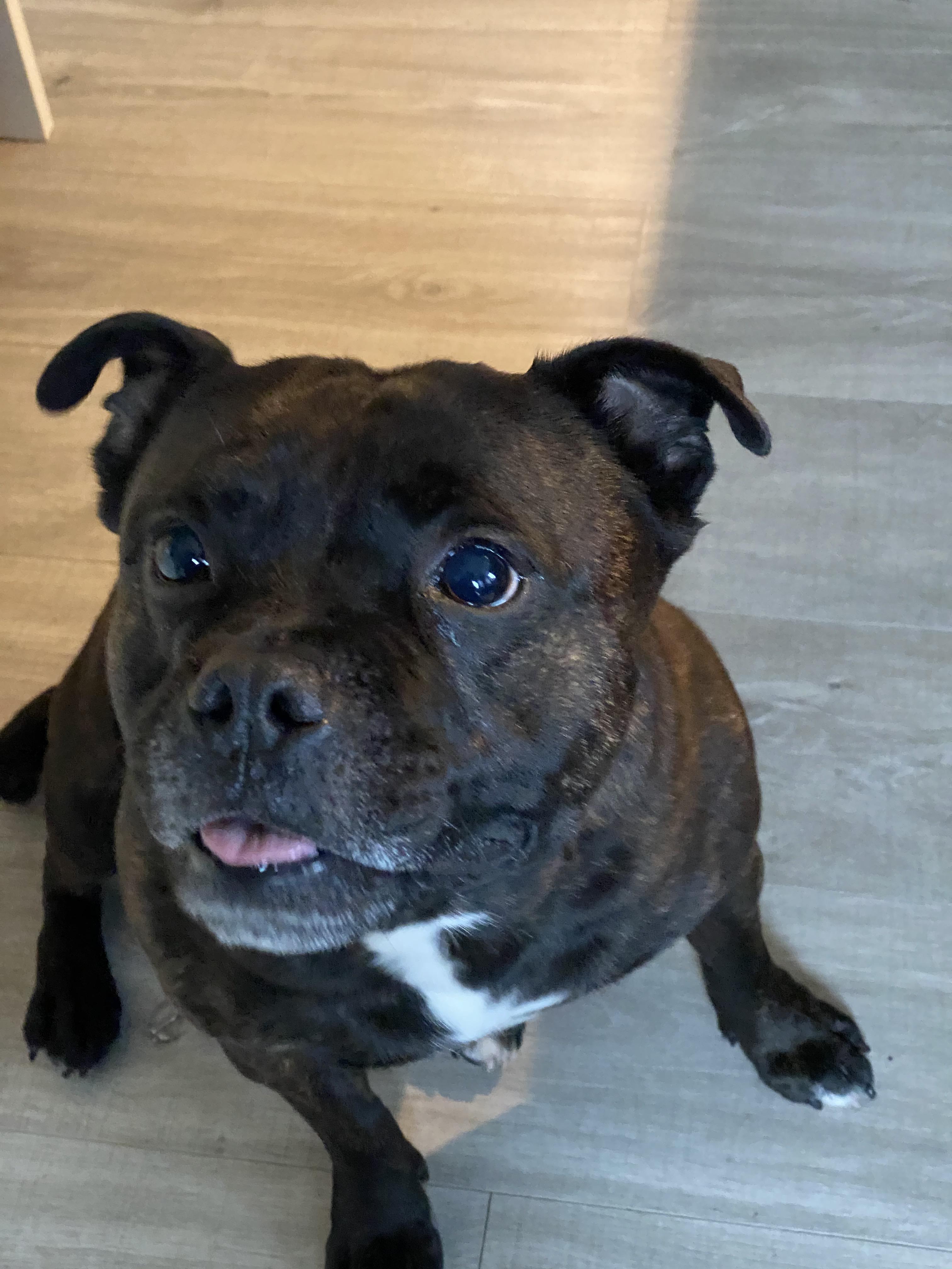 My handsome boy | Scrolller